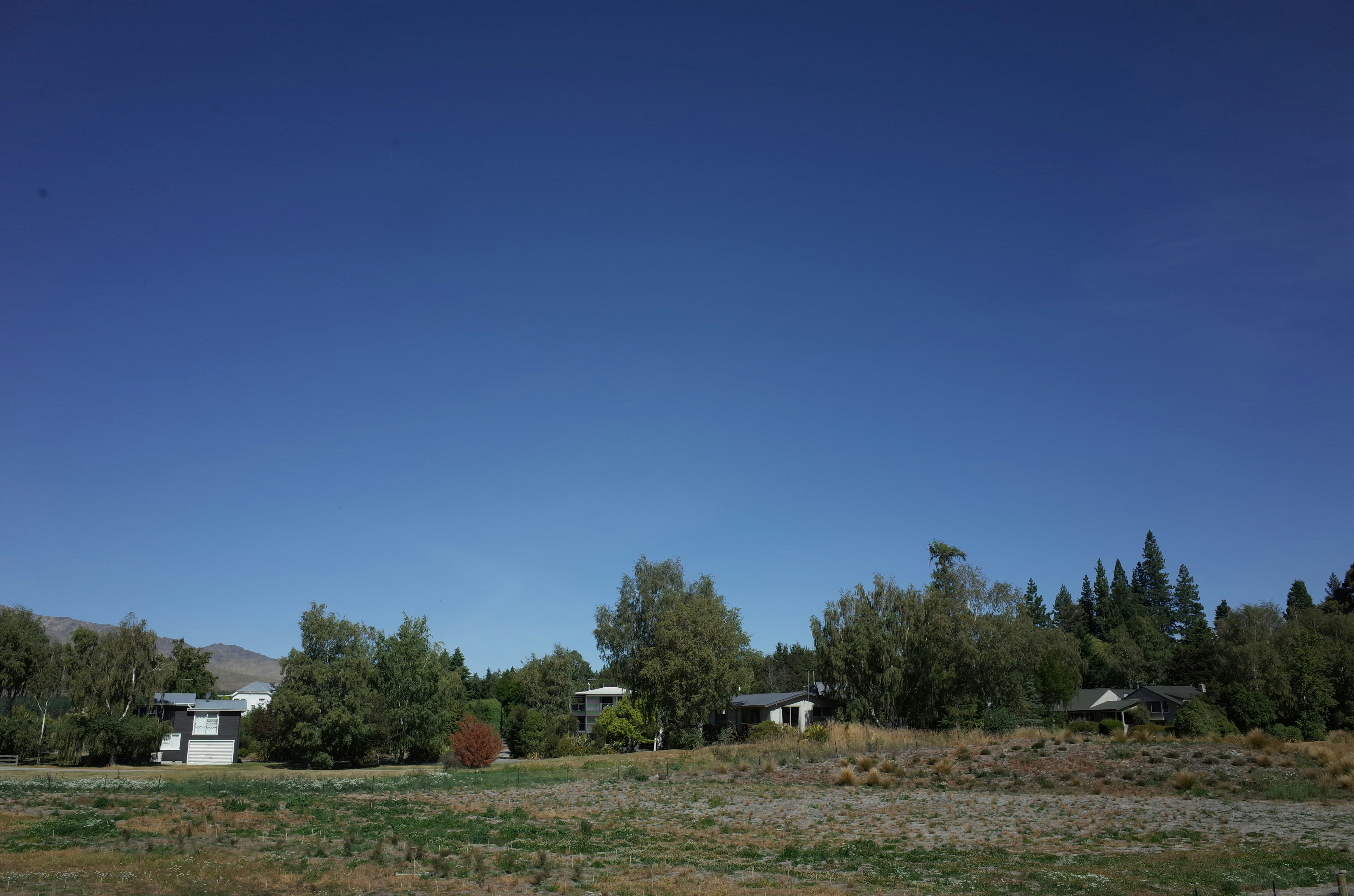 Serene Abode Amidst Nature's Embrace