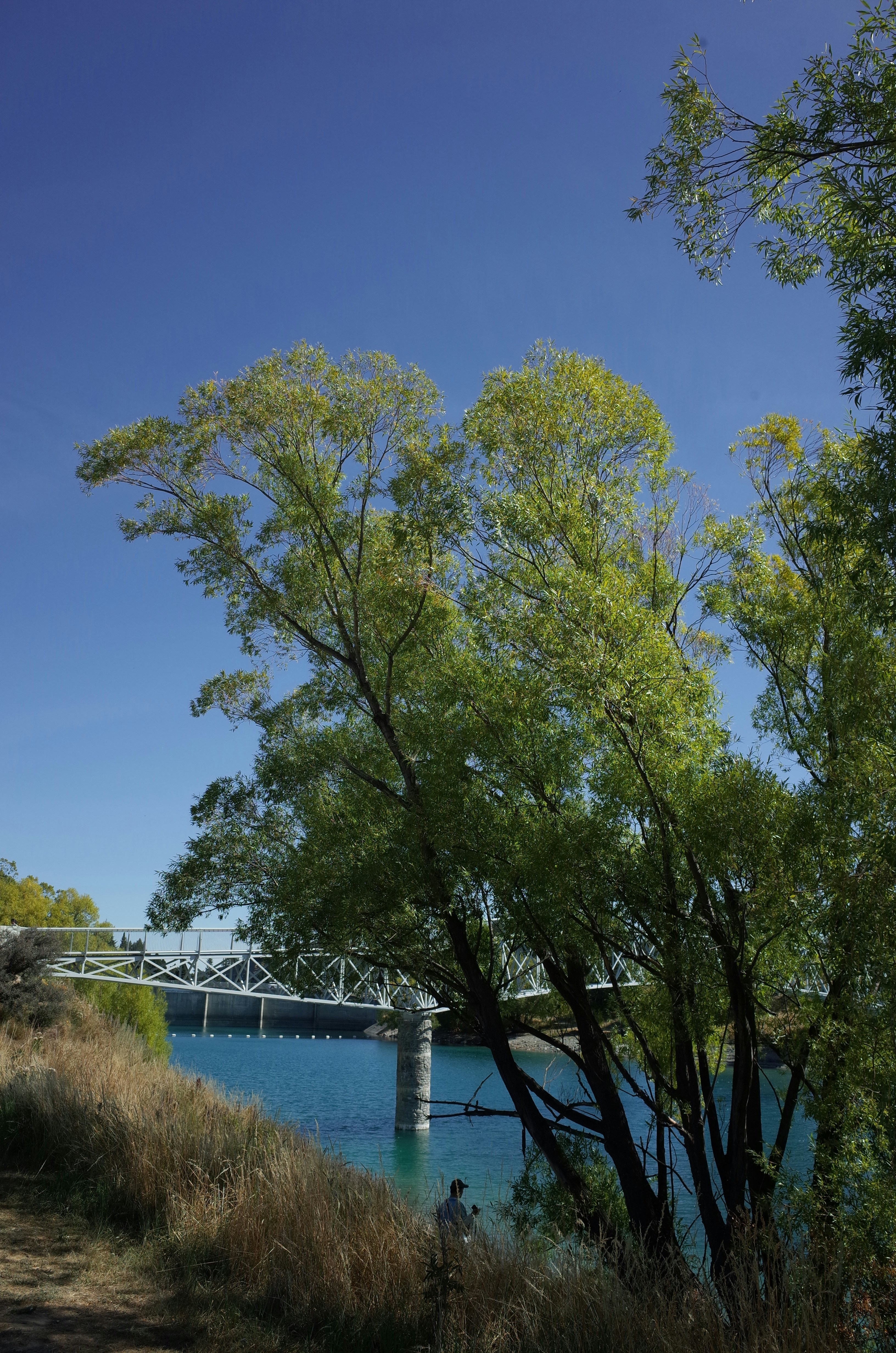 Lush green trees framing a steel bridge over a tranquil river beneath a clear blue sky.