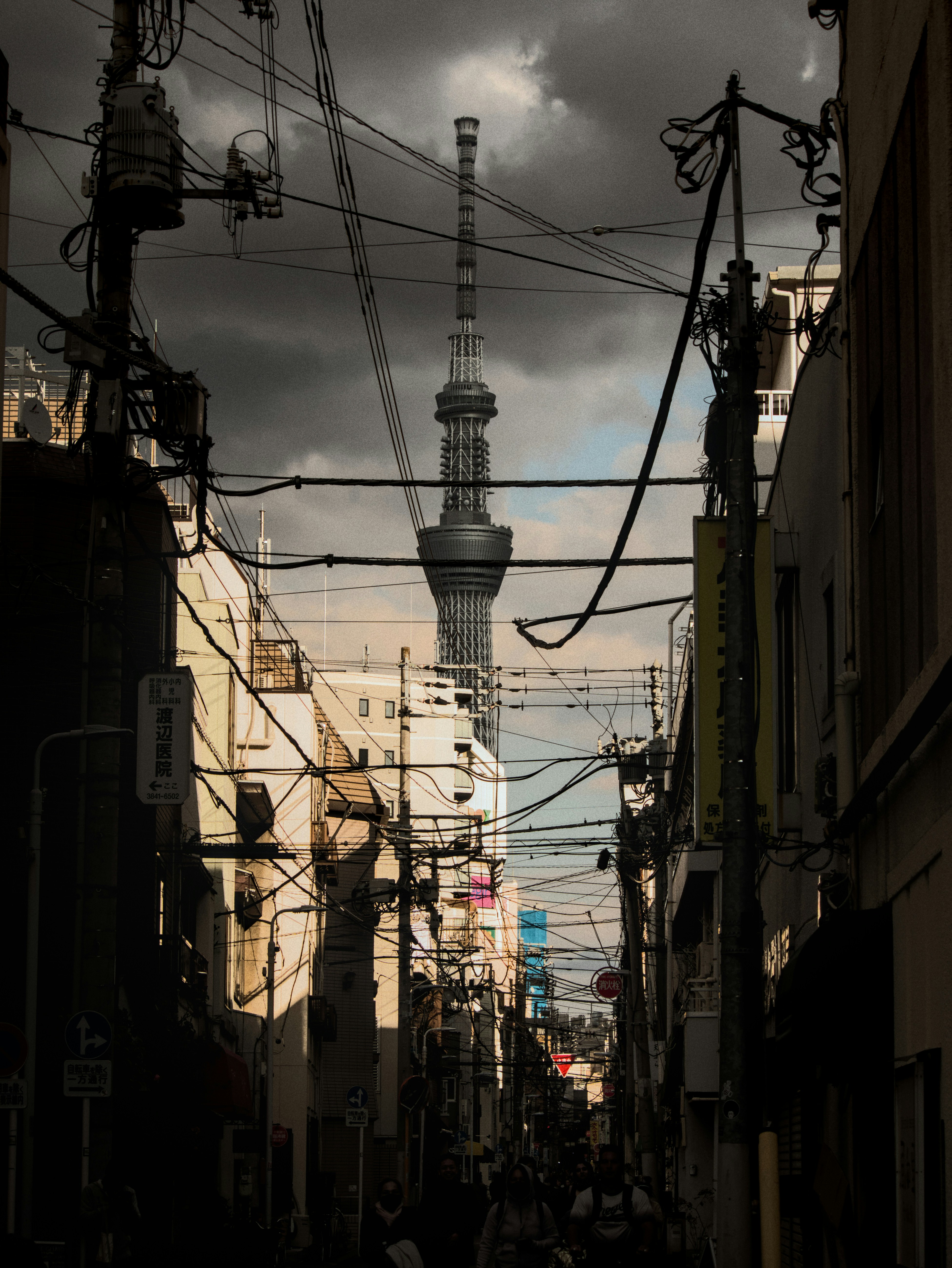 Skytree Over the Alley: A Portrait of Tokyo's Electric Street