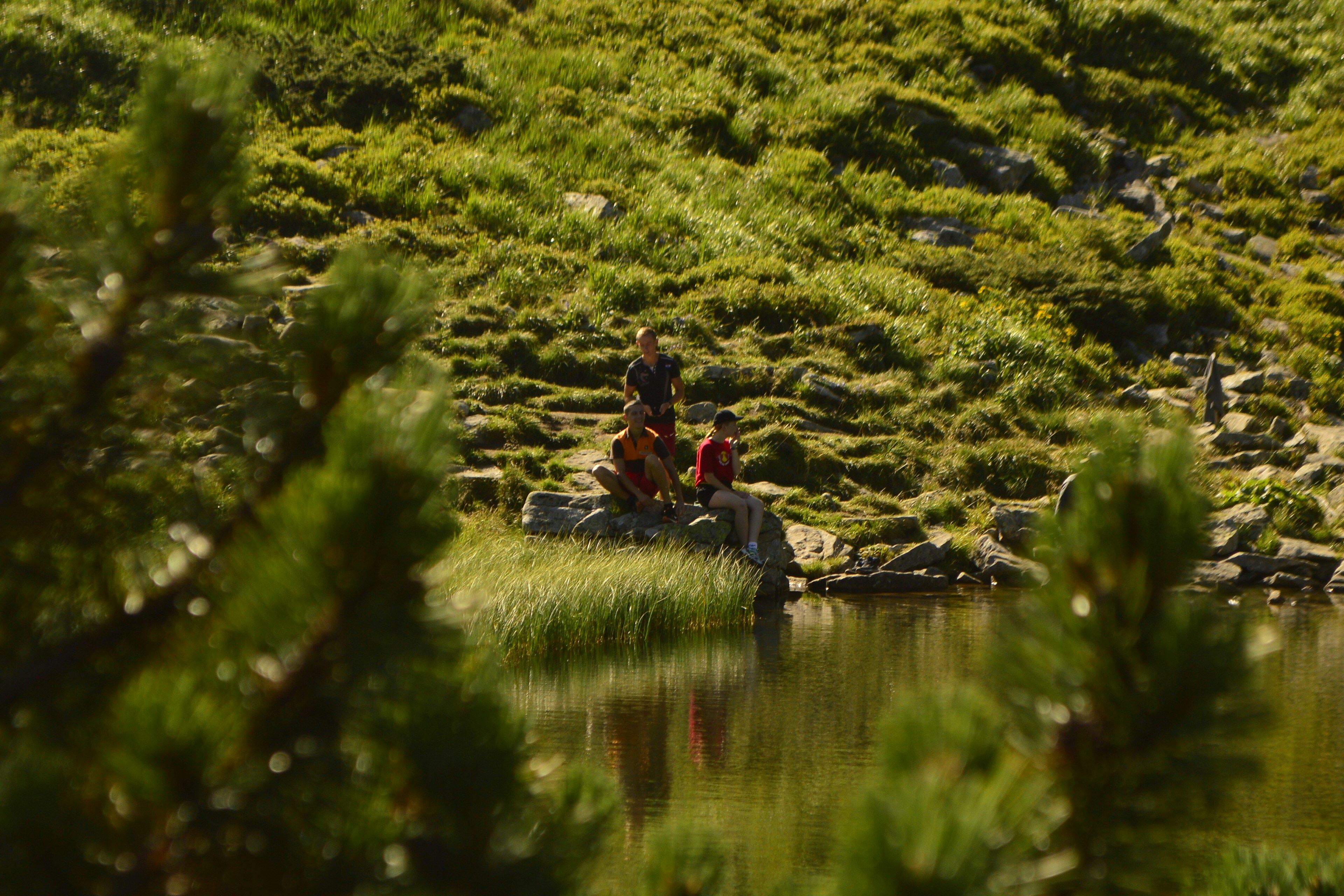 Tranquil Mid-Pond Meeting: Sunlit Figures on a Mossy Stone Dock