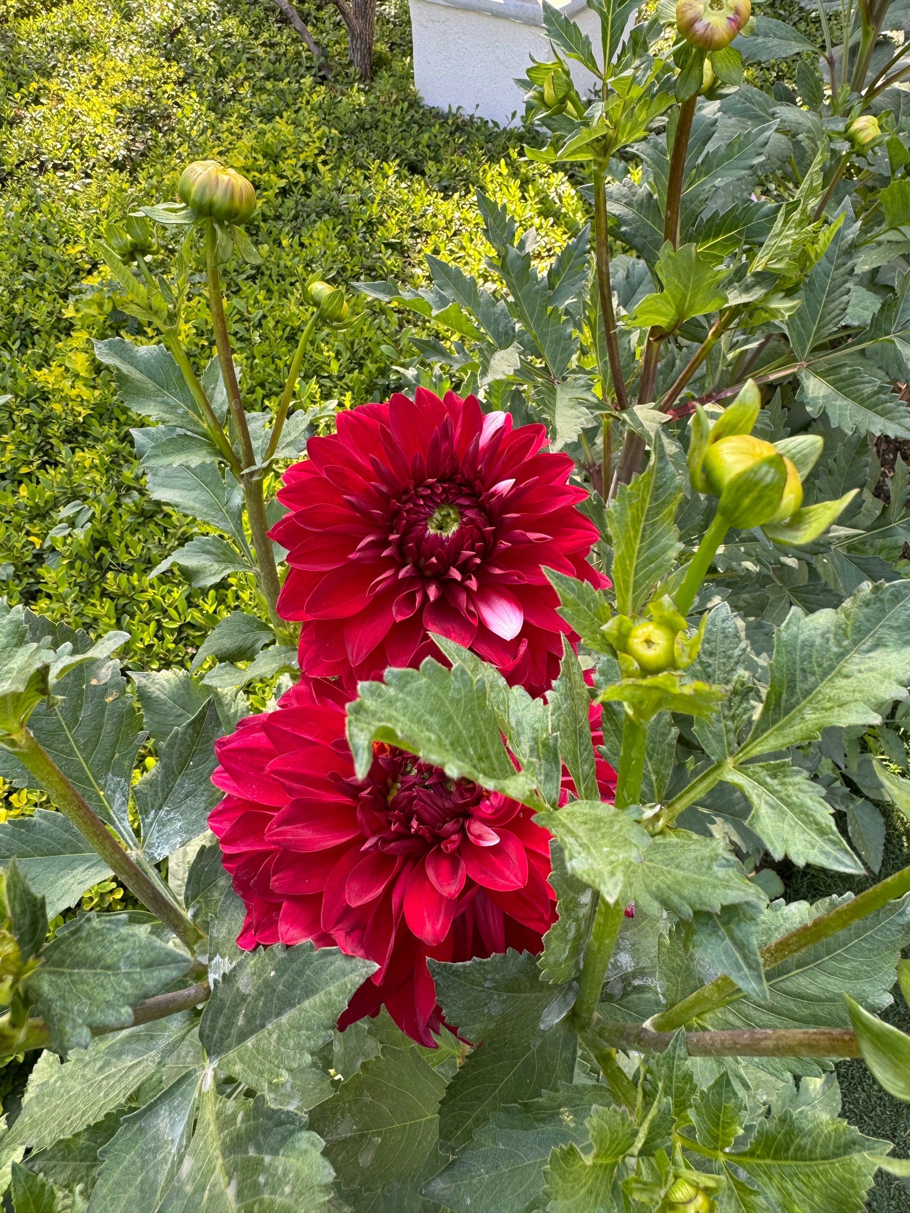 Mayur sharma (@mayur24) | Unsplash Photo Community