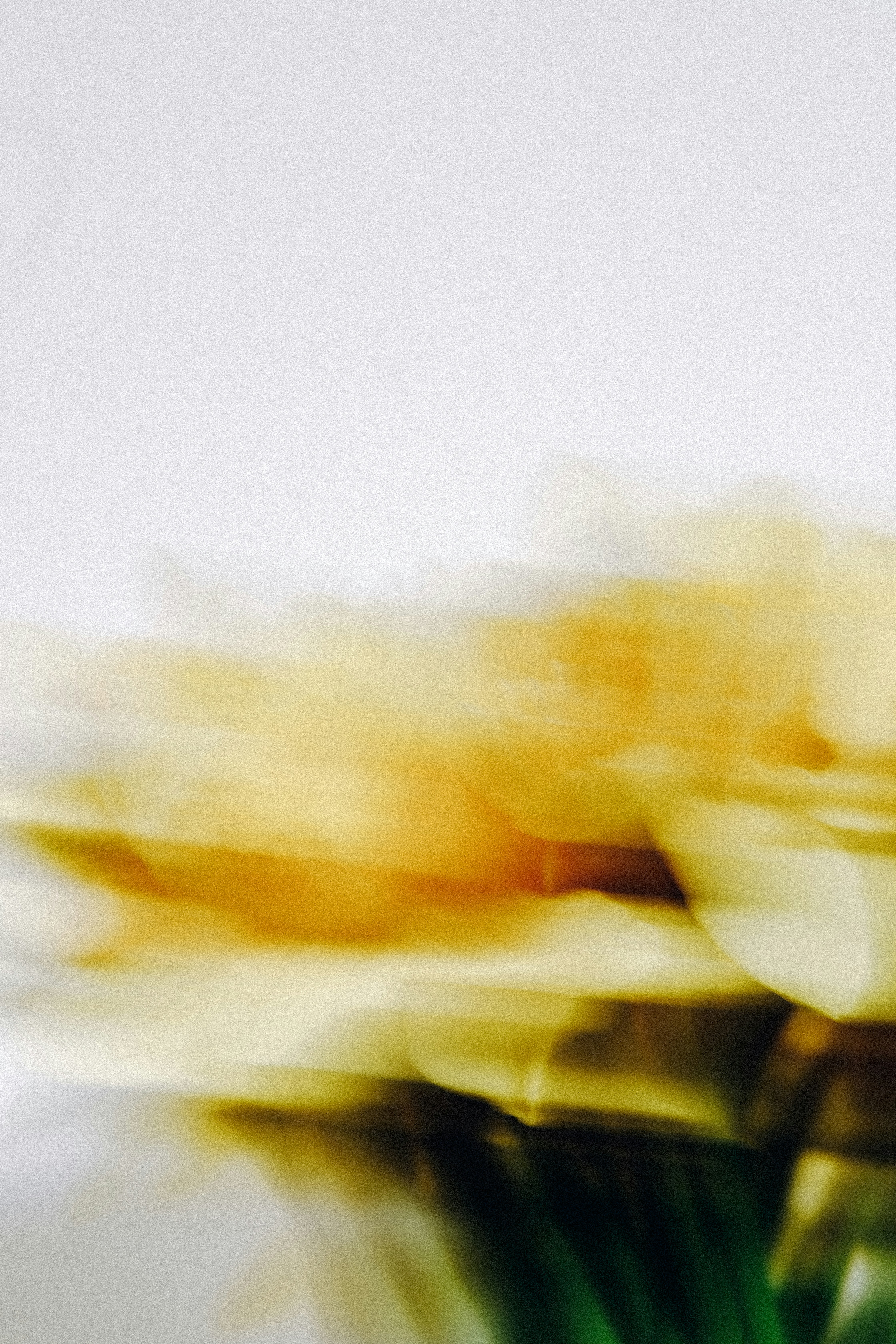 Blurry Harvest: Abstract Warmth in Motion