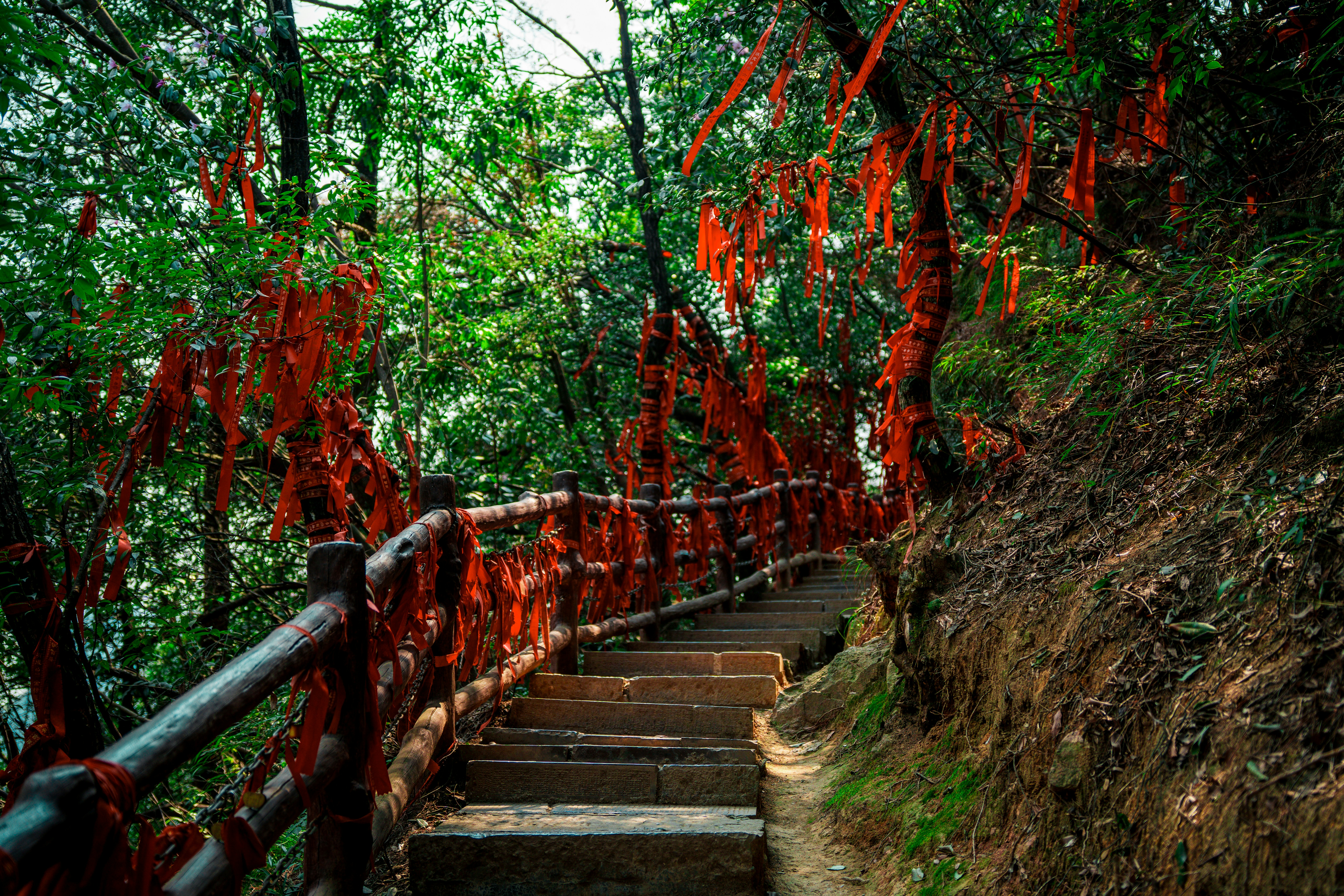 Wooden staircase winds through a forest with prayer flags. photo – Free ...
