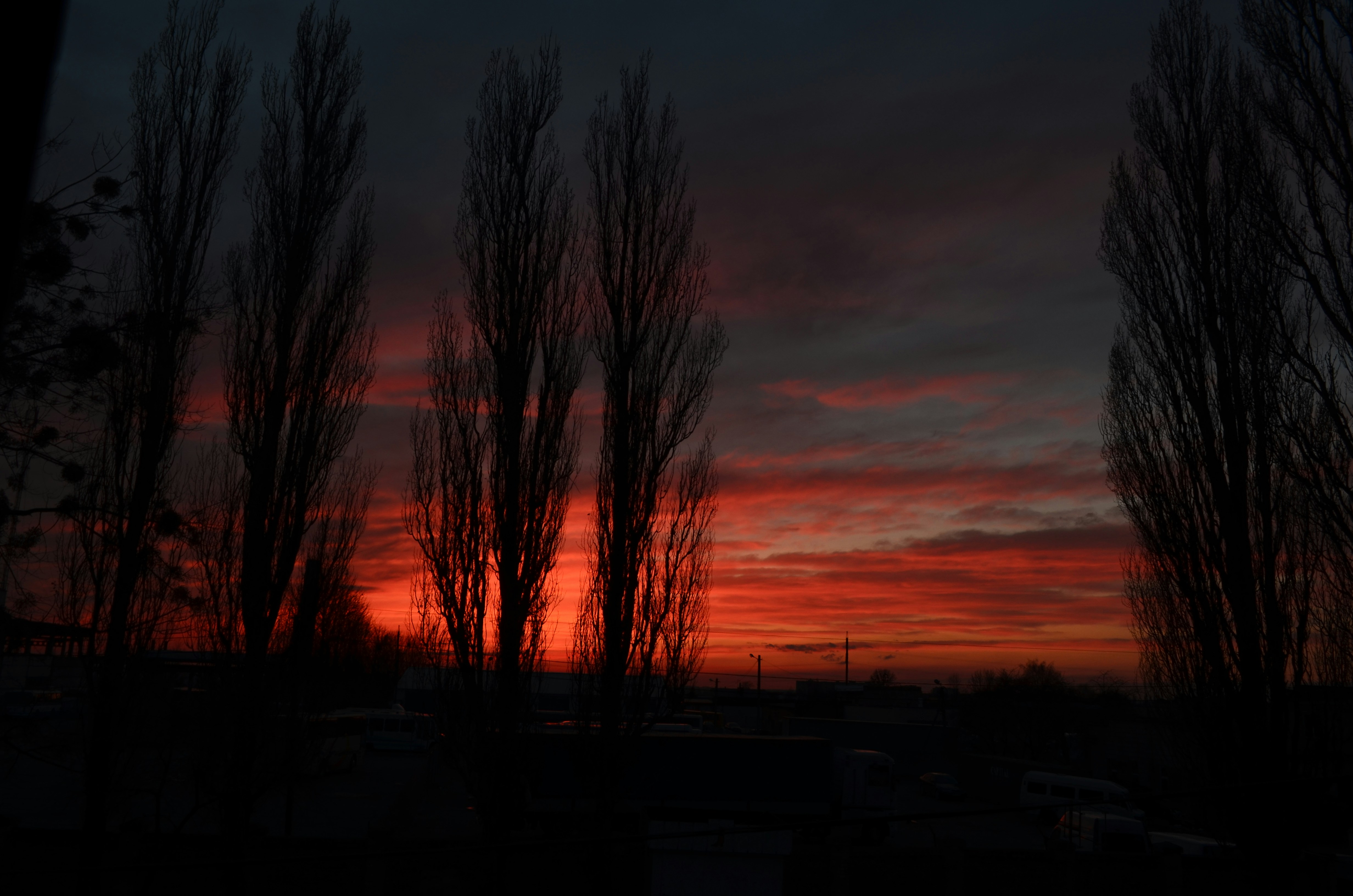 Sunset creates a fiery red sky behind dark trees. photo – Free Sunset ...