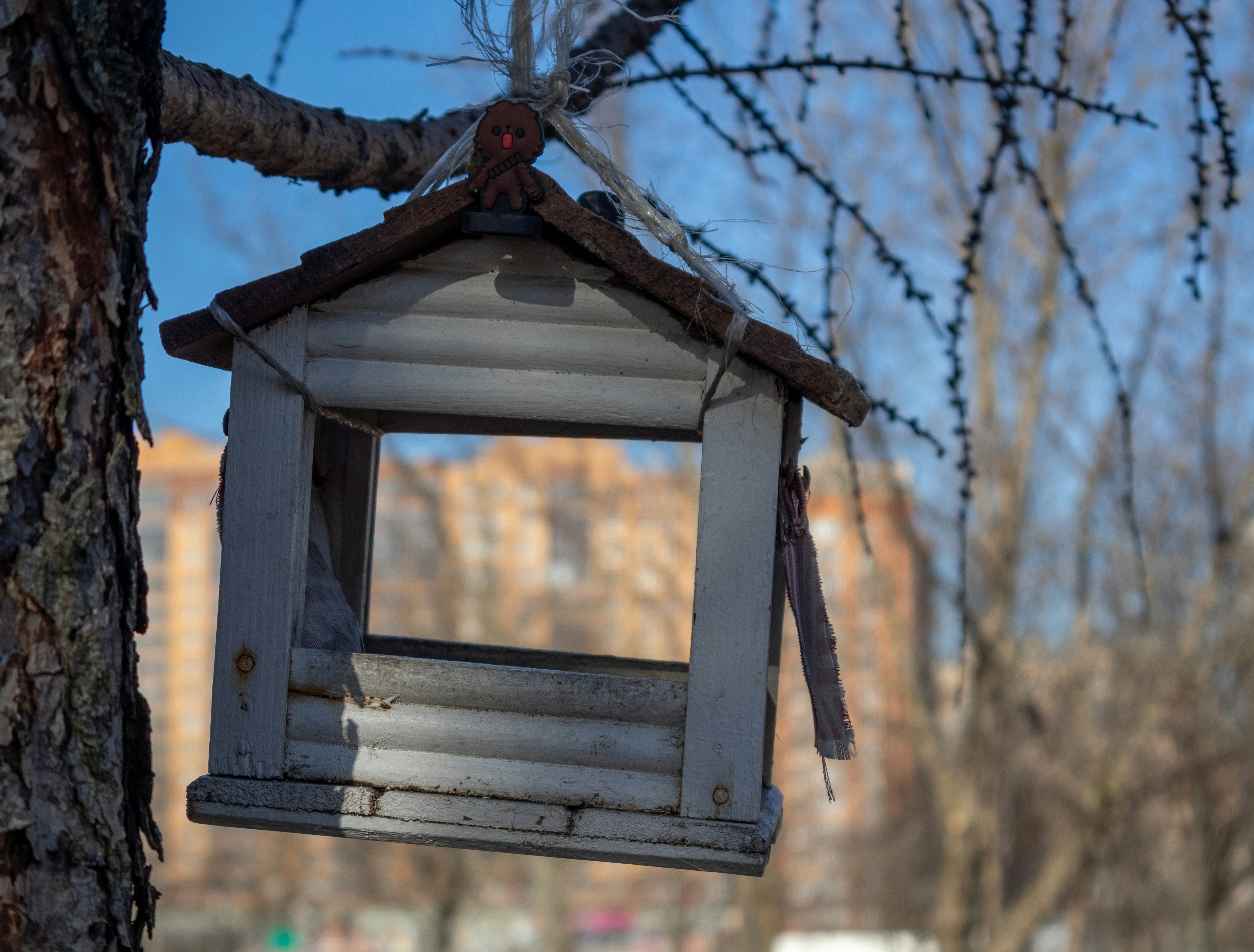 Weathered Bird Feeder Dangles at the Threshold of Barbed Wire with a Distant Urban Backdrop