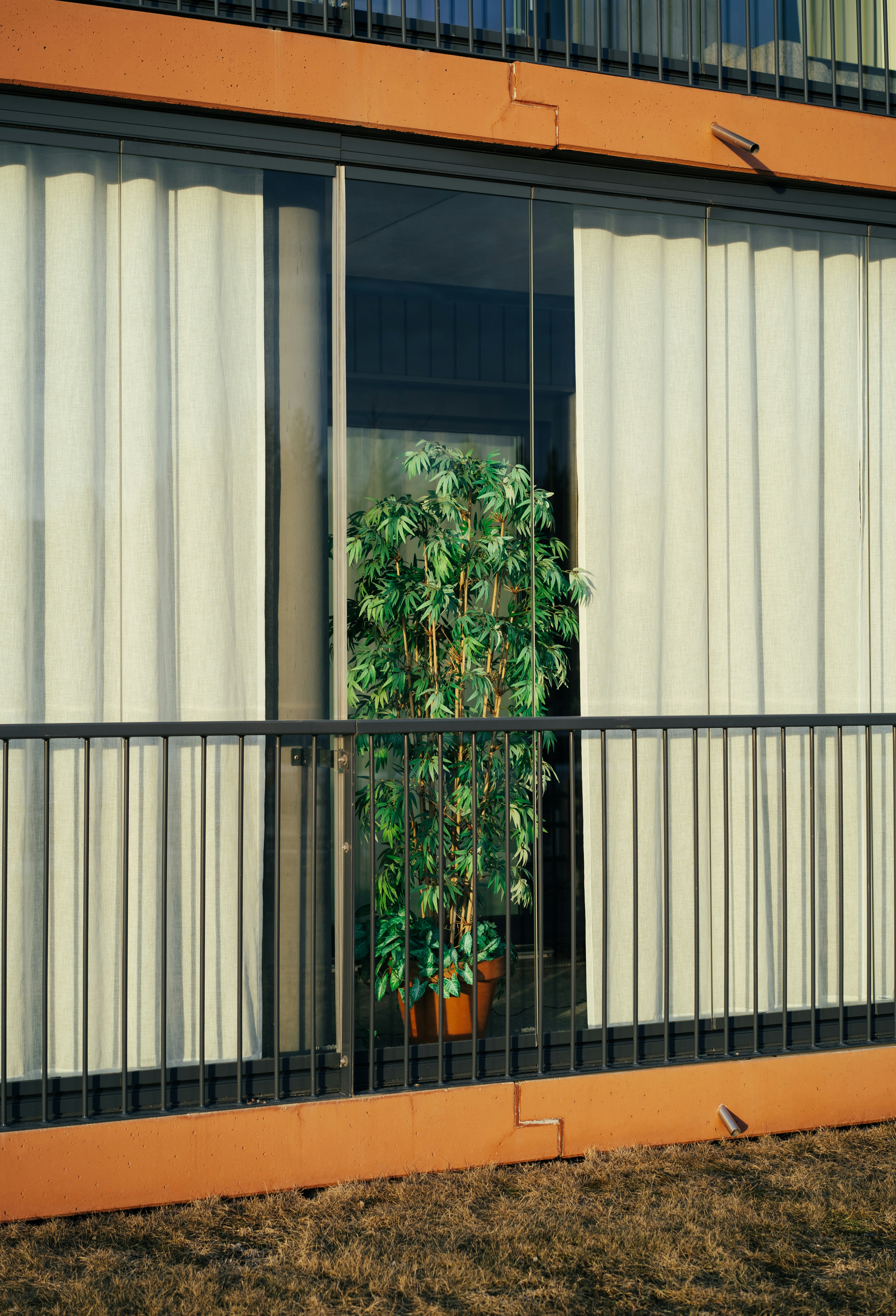 Photo by Aleksi Partanen with Sony Alpha 7 III