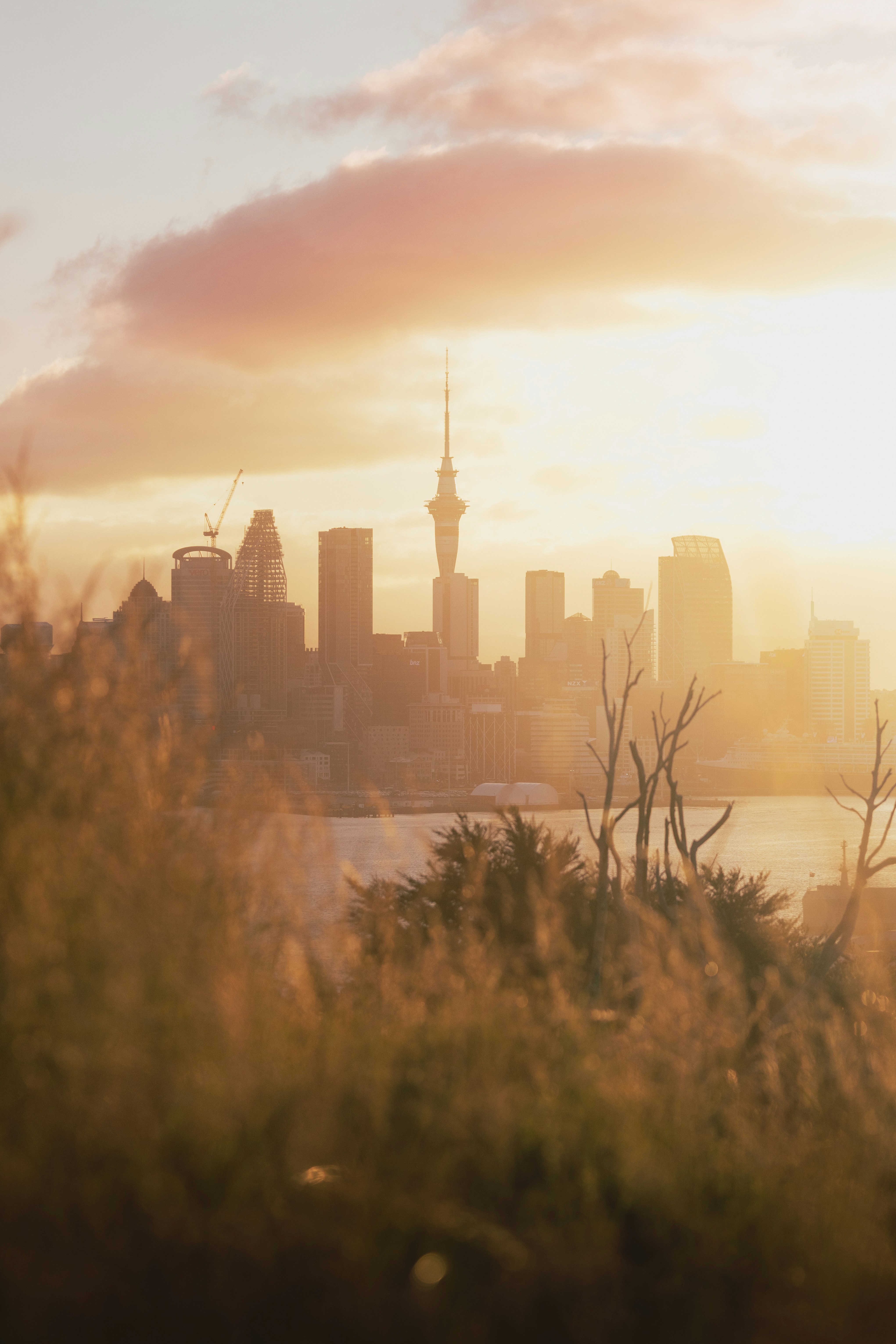 Golden Cityscape Silhouette at Dusk