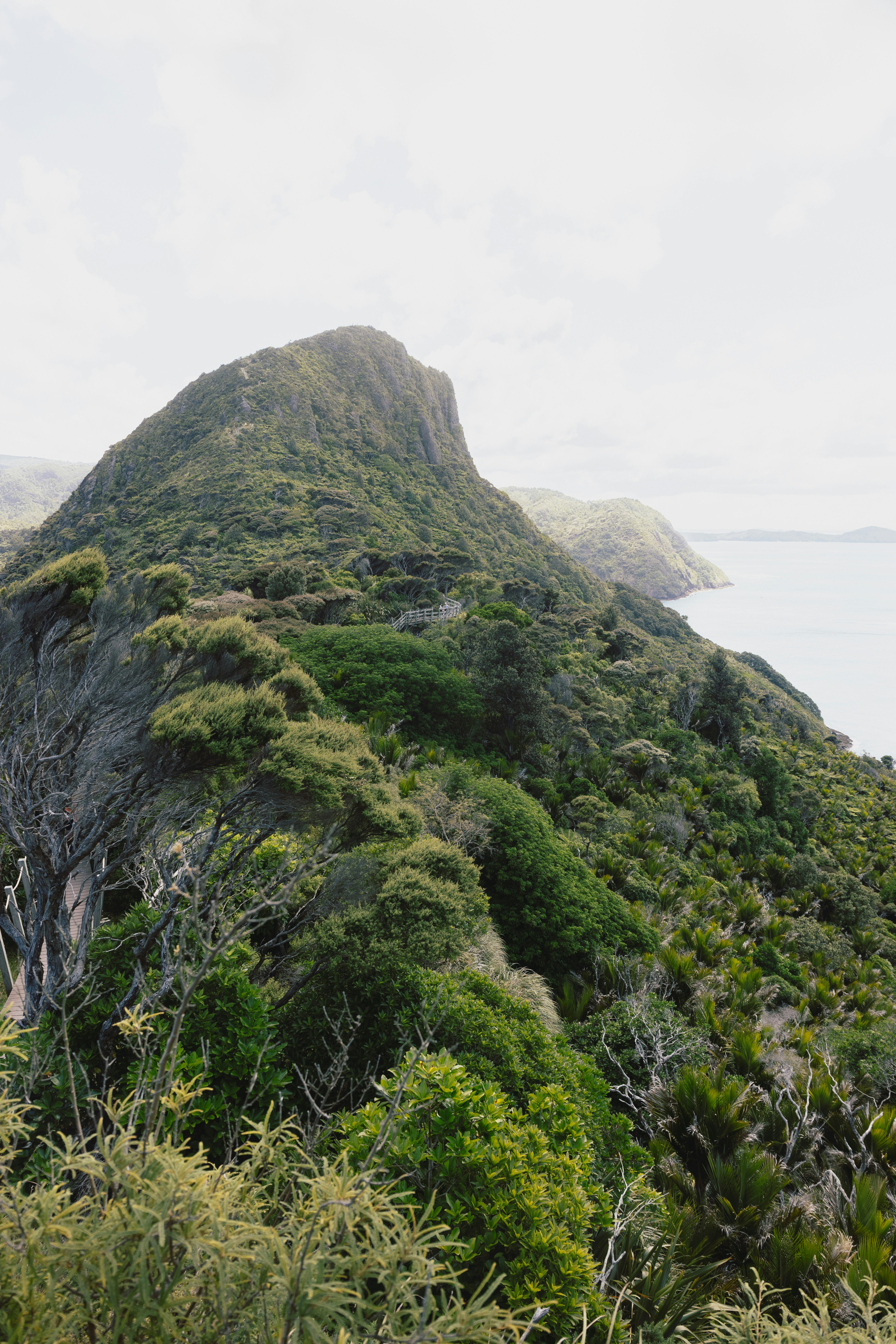 Photo by Tobias Rademacher with Canon EOS R