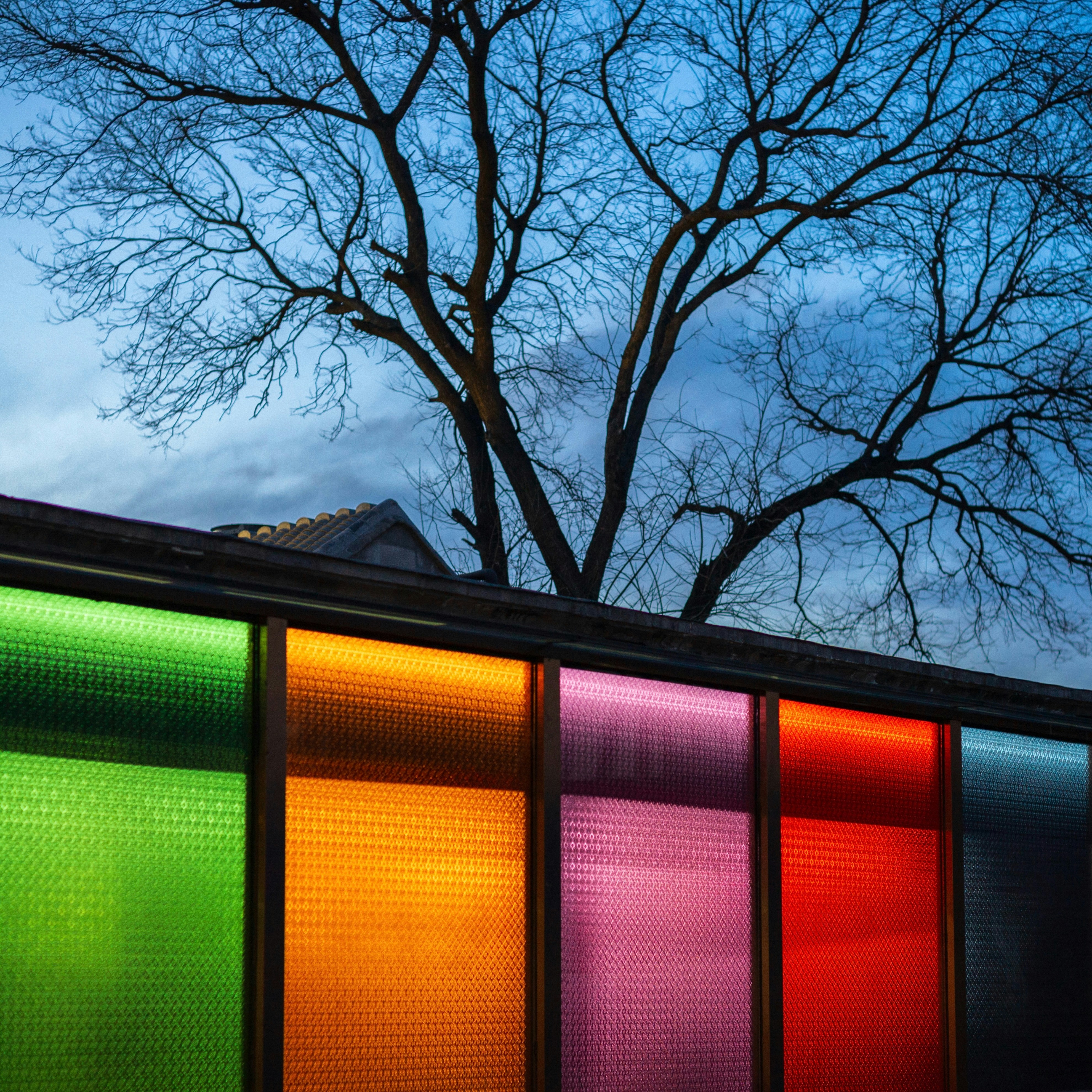 Colorful glass panes sit beneath a bare tree. photo – Free Building ...