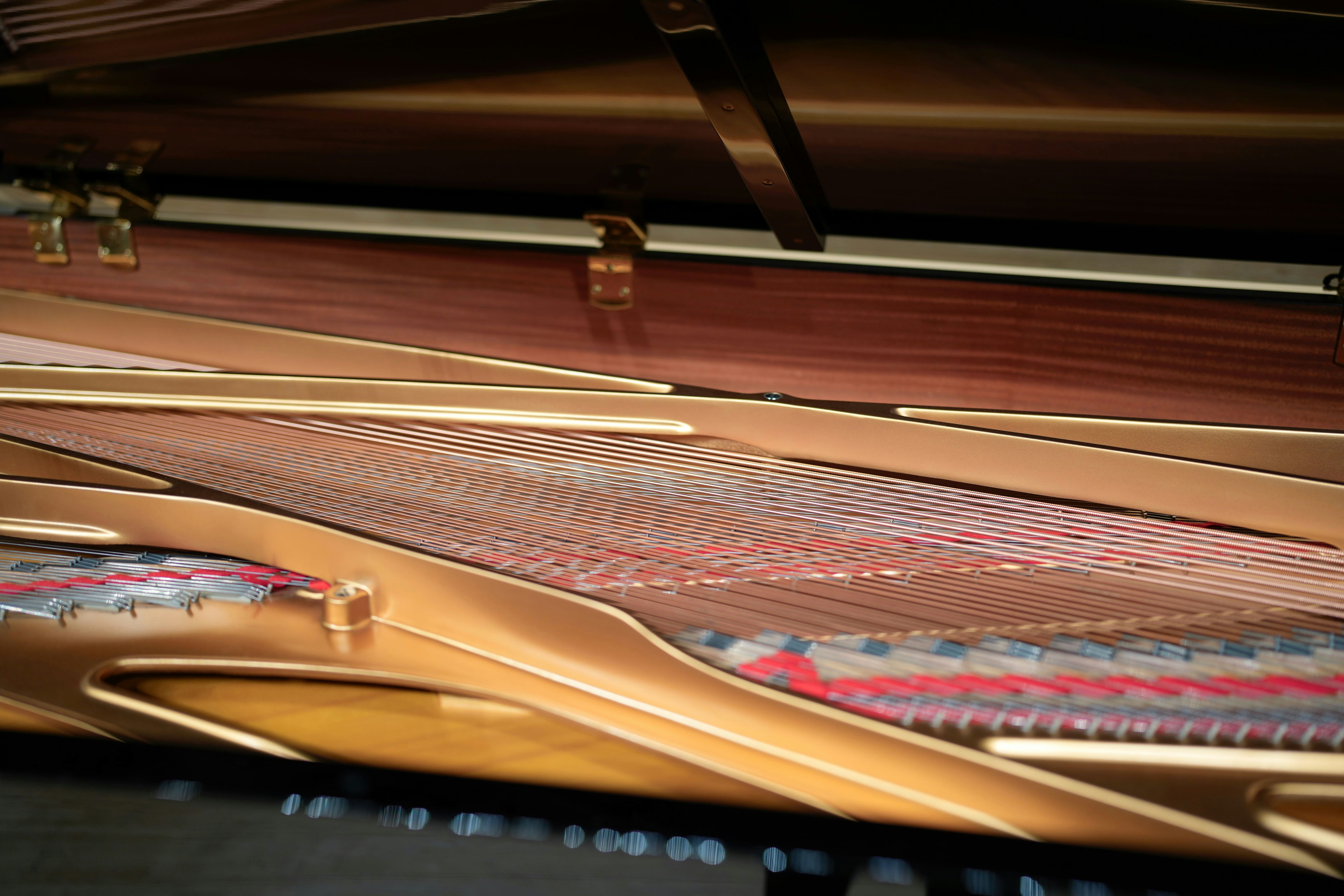 A detailed close-up view inside a grand piano, highlighting the intricate arrangement of strings, tuning pins, and the golden cast iron frame stretching over the wooden soundboard. The image captures the complexity and beauty of the musical instrument's interior mechanics. | Inside of a grand piano reveals strings and structure.