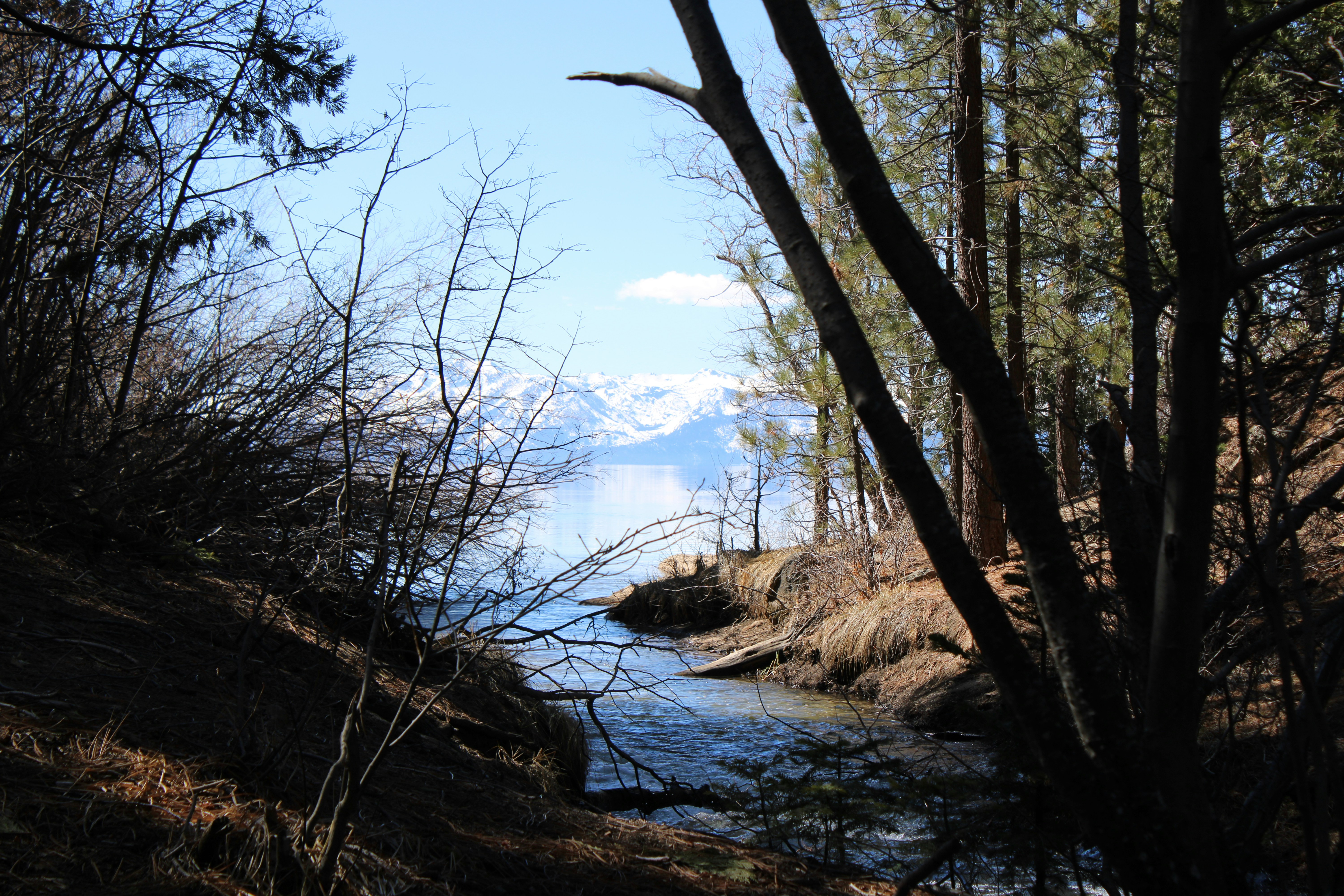 Mountain lake visible through a forest clearing with a bright blue sky.