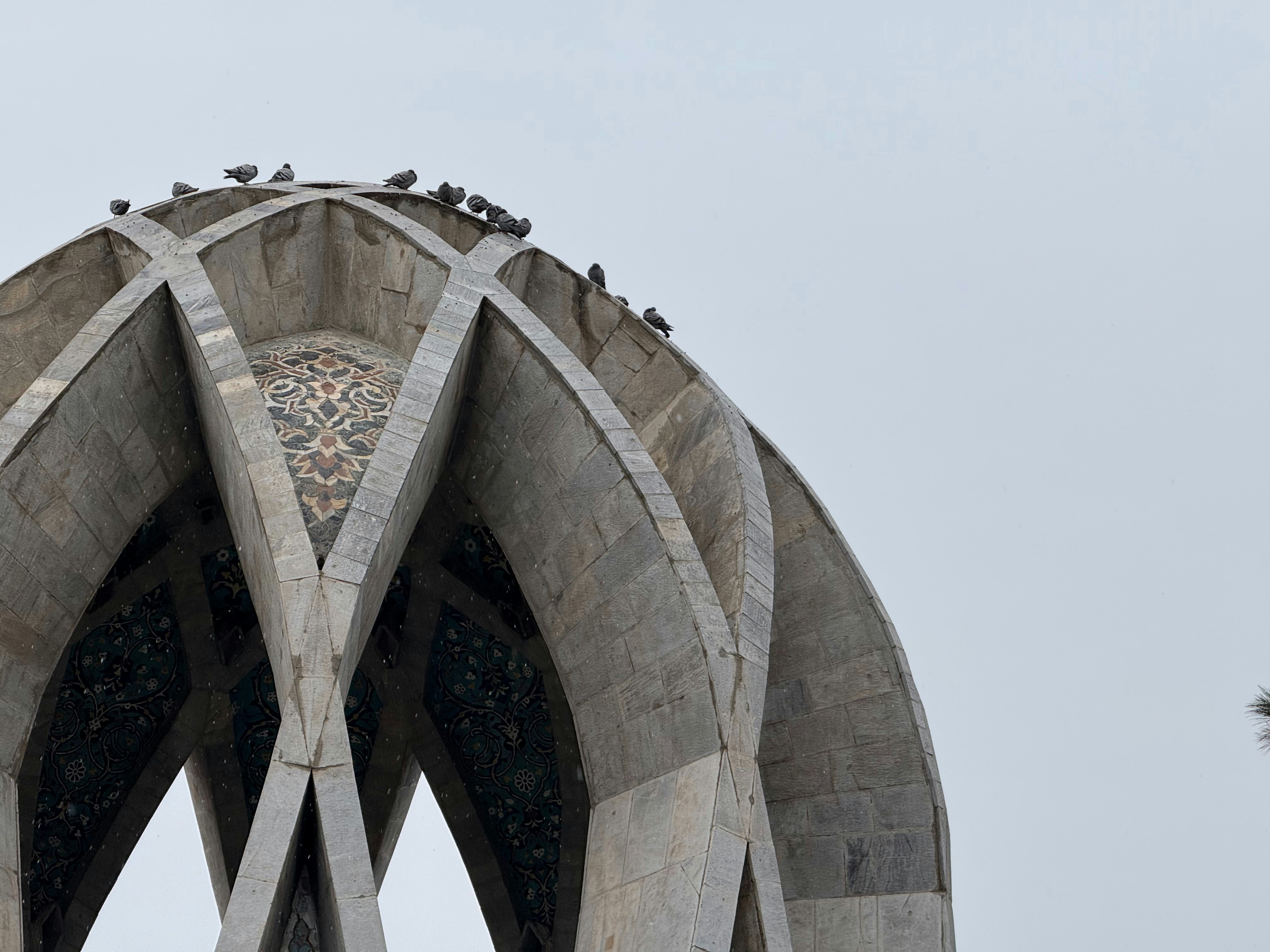 Intersection of Arches: A Concrete Cathedral Crowned by Pigeons