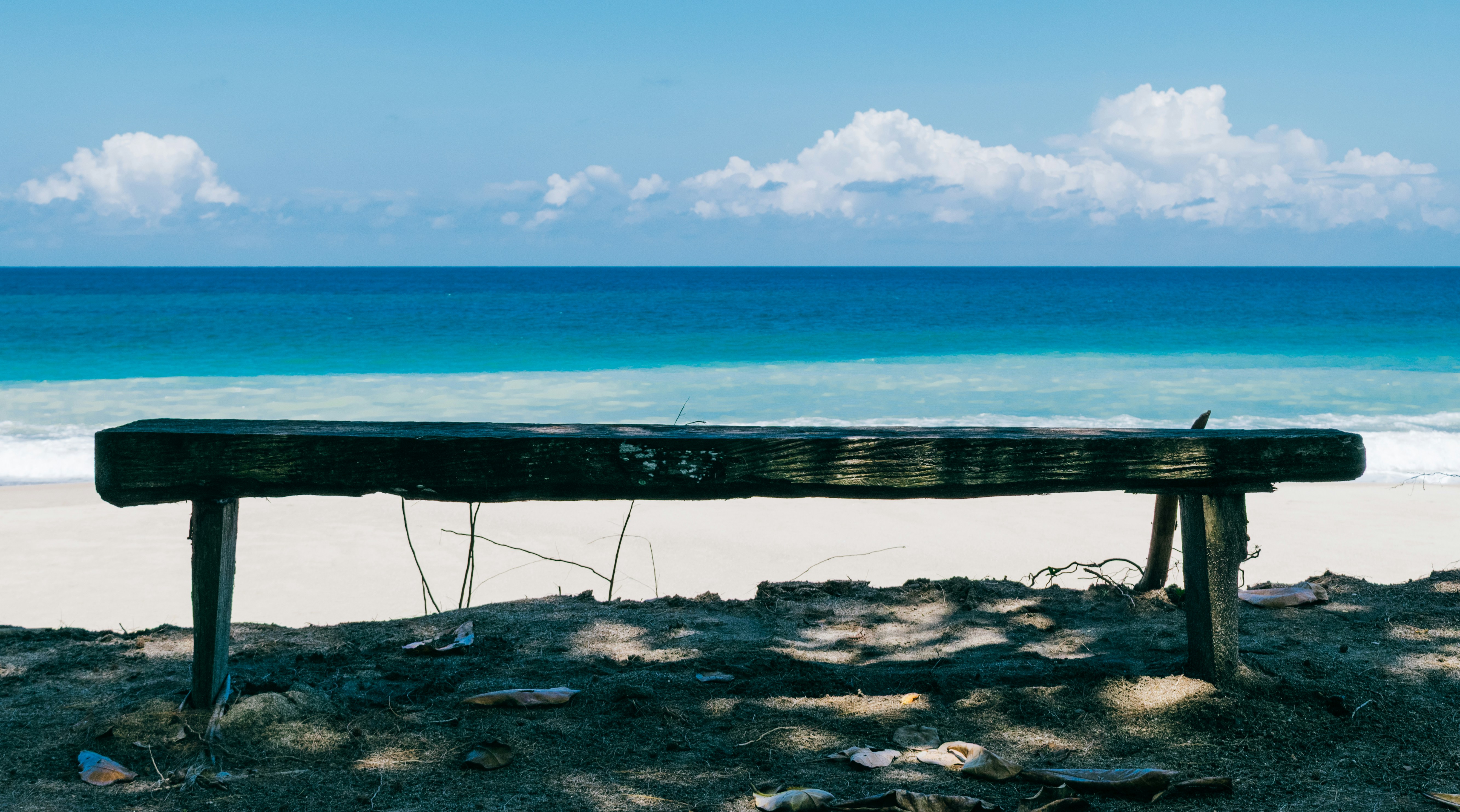 Eine Bank blickt auf einen schönen Strand und das Meer. Foto ...