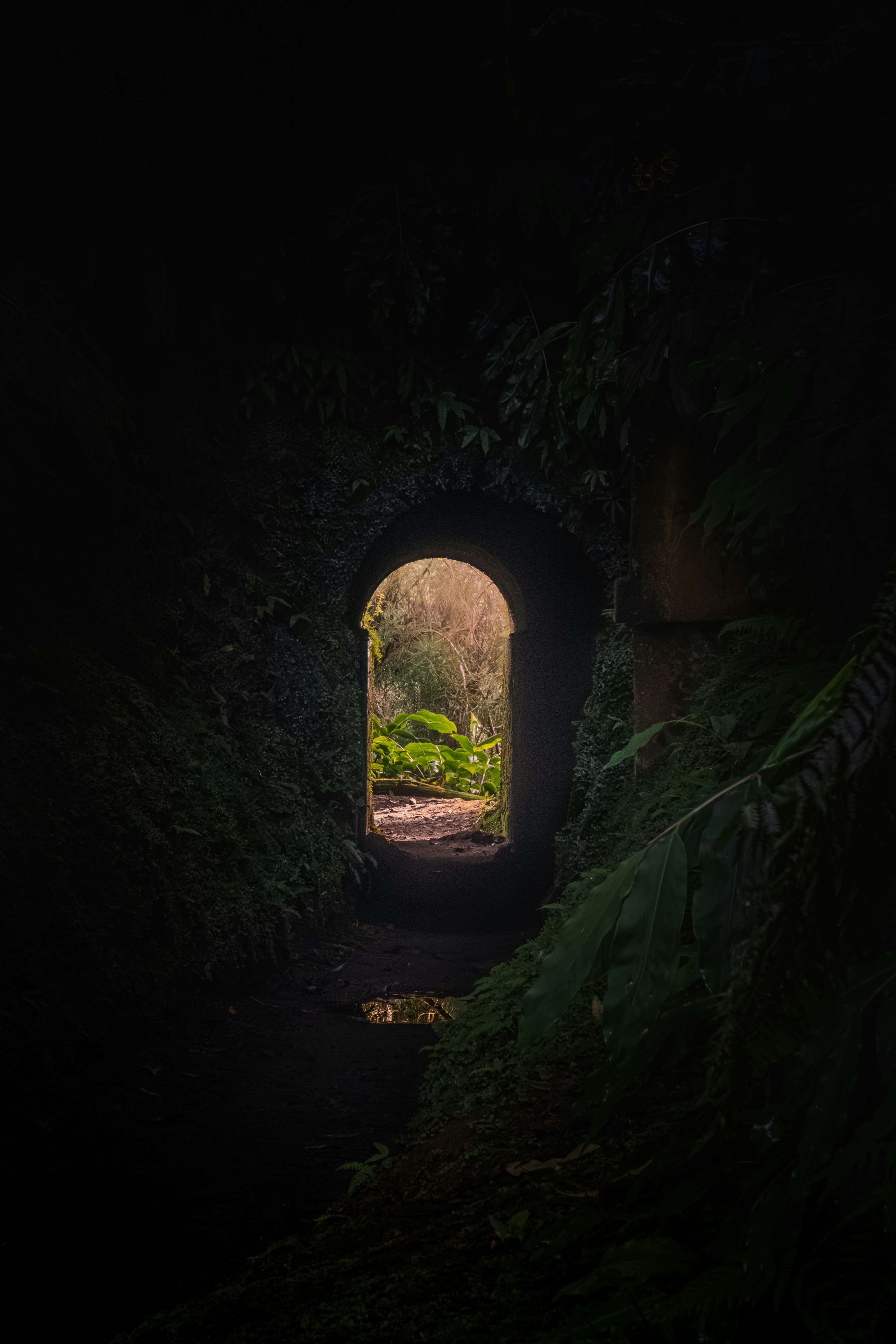 Arched stone doorway leading to a vibrant, sunlit garden path surrounded by lush greenery.