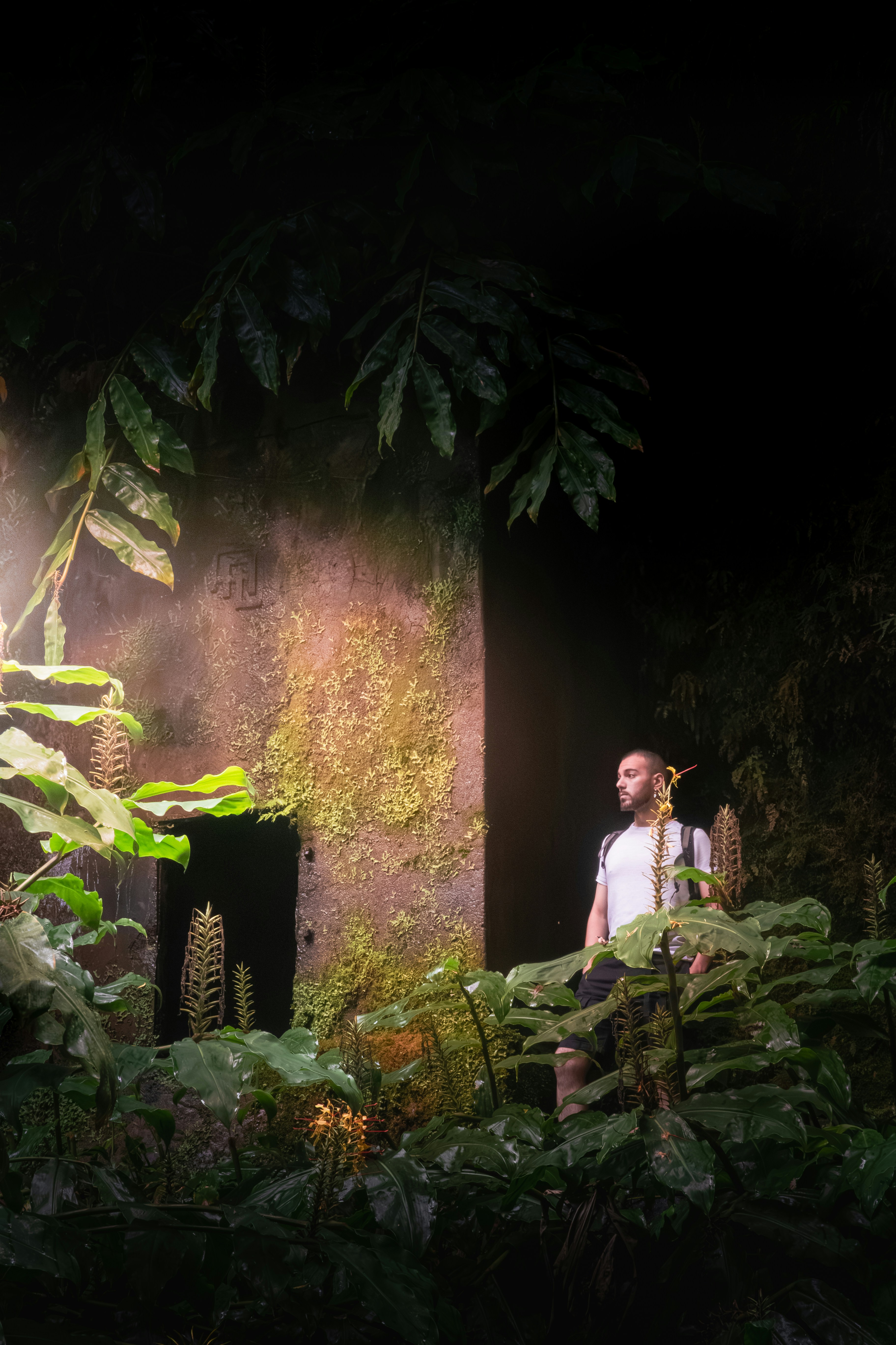 Enchanted Ruins: Light and Shadow