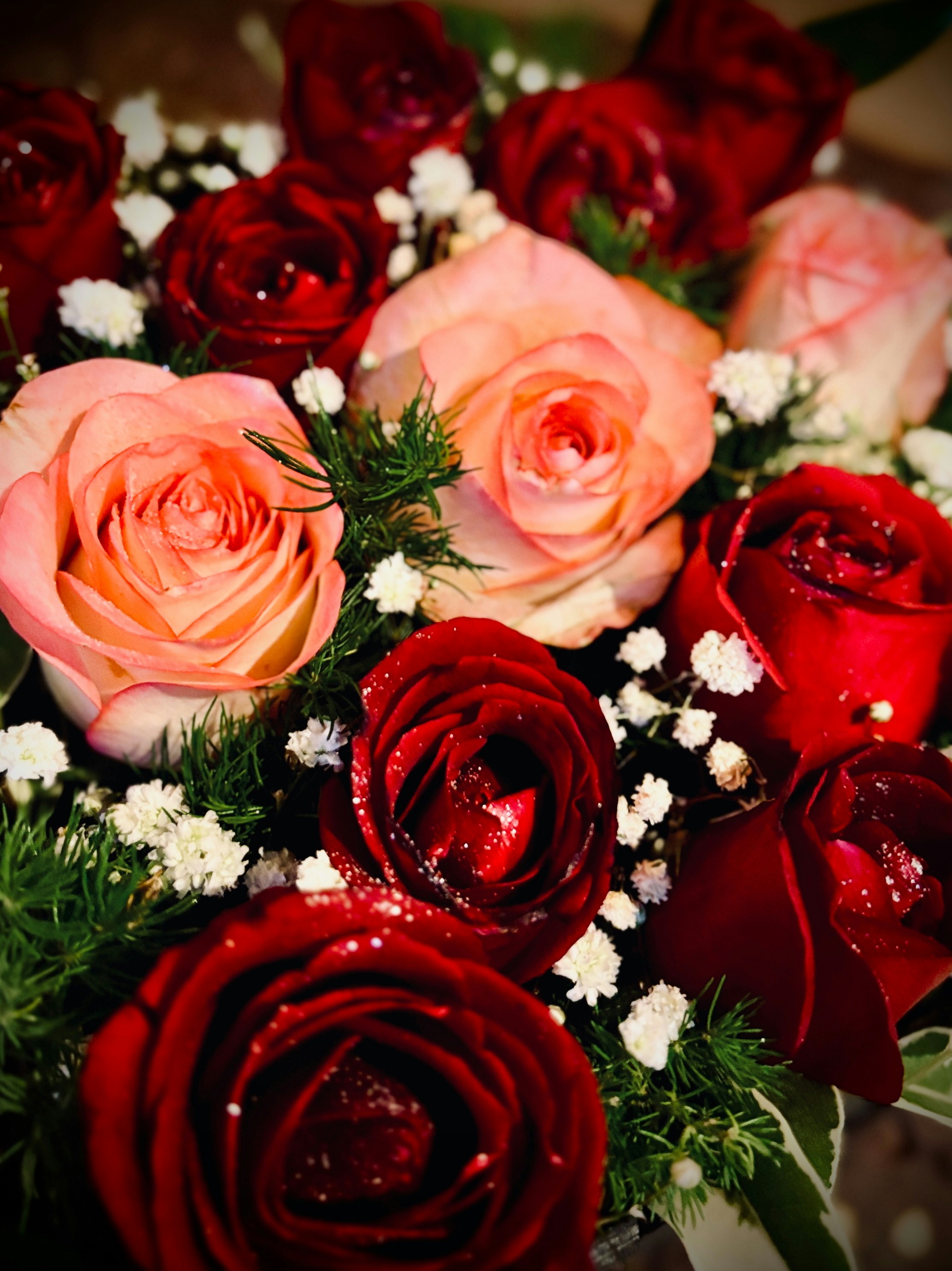 A vibrant bouquet featuring a mix of red and pink roses, adorned with delicate white accents of baby's breath. The arrangement showcases the beauty of fresh flowers.