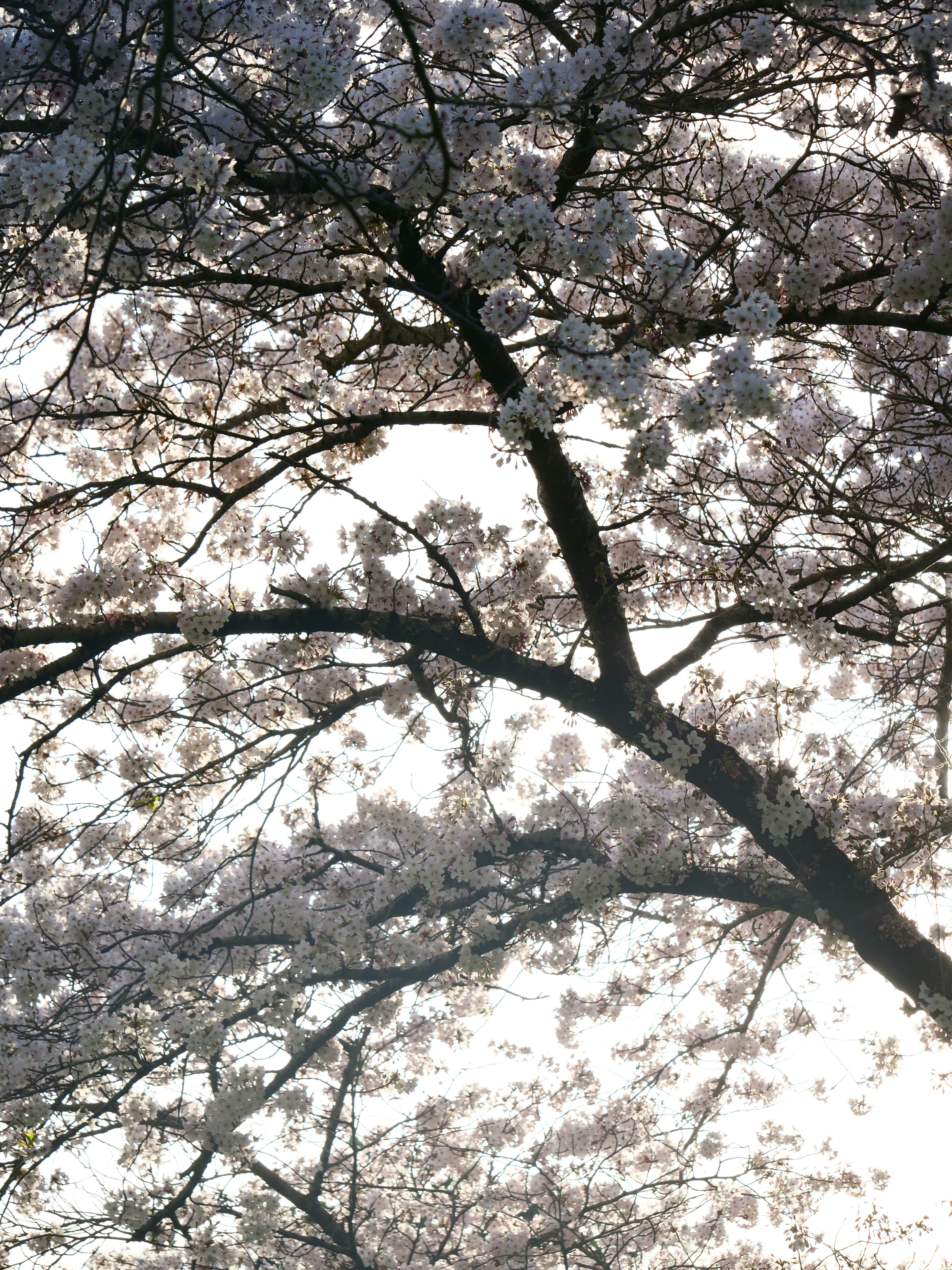 Sample photo from Panasonic Lumix G9