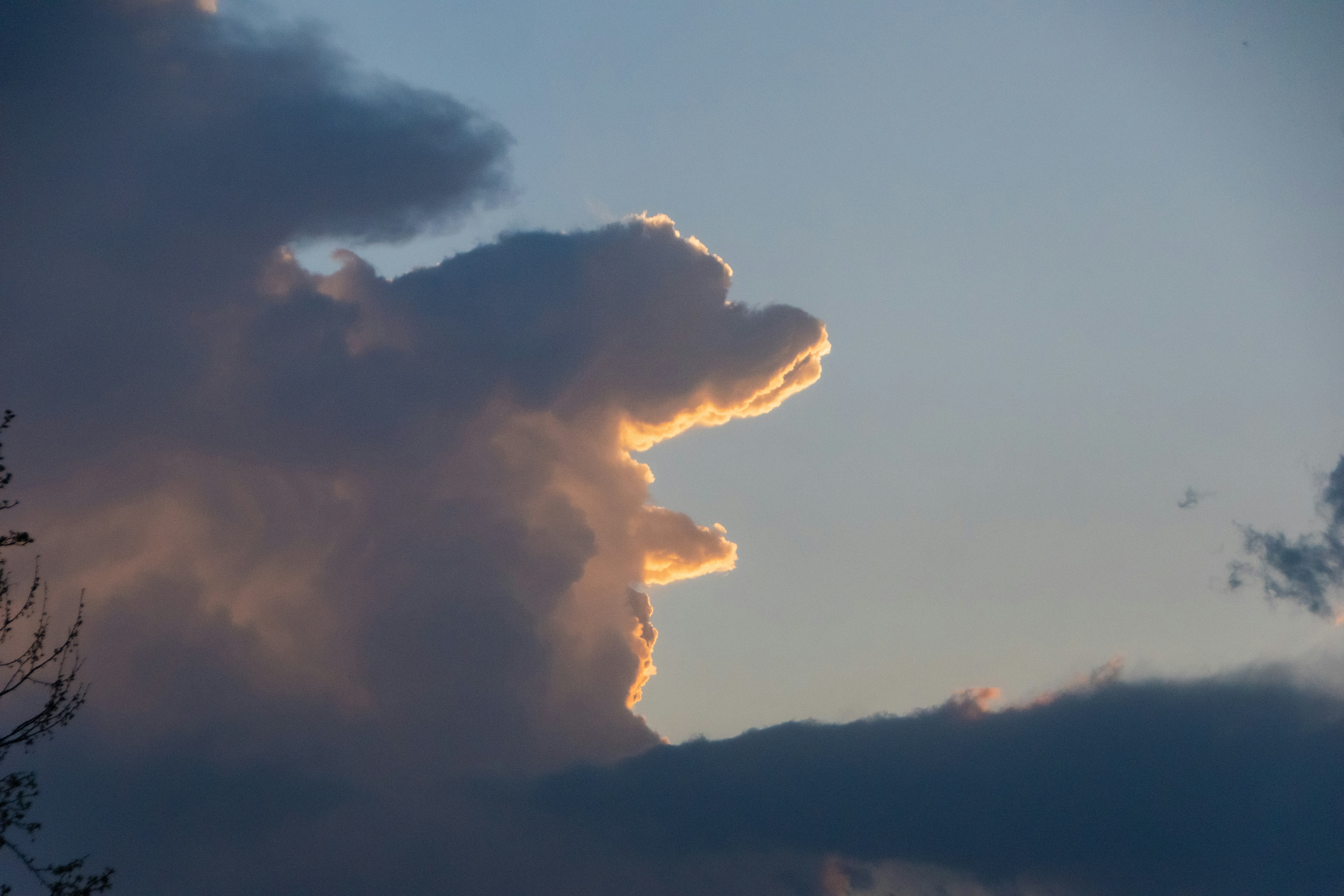 Photo by Sankalp Mudaliar with Nikon D3500