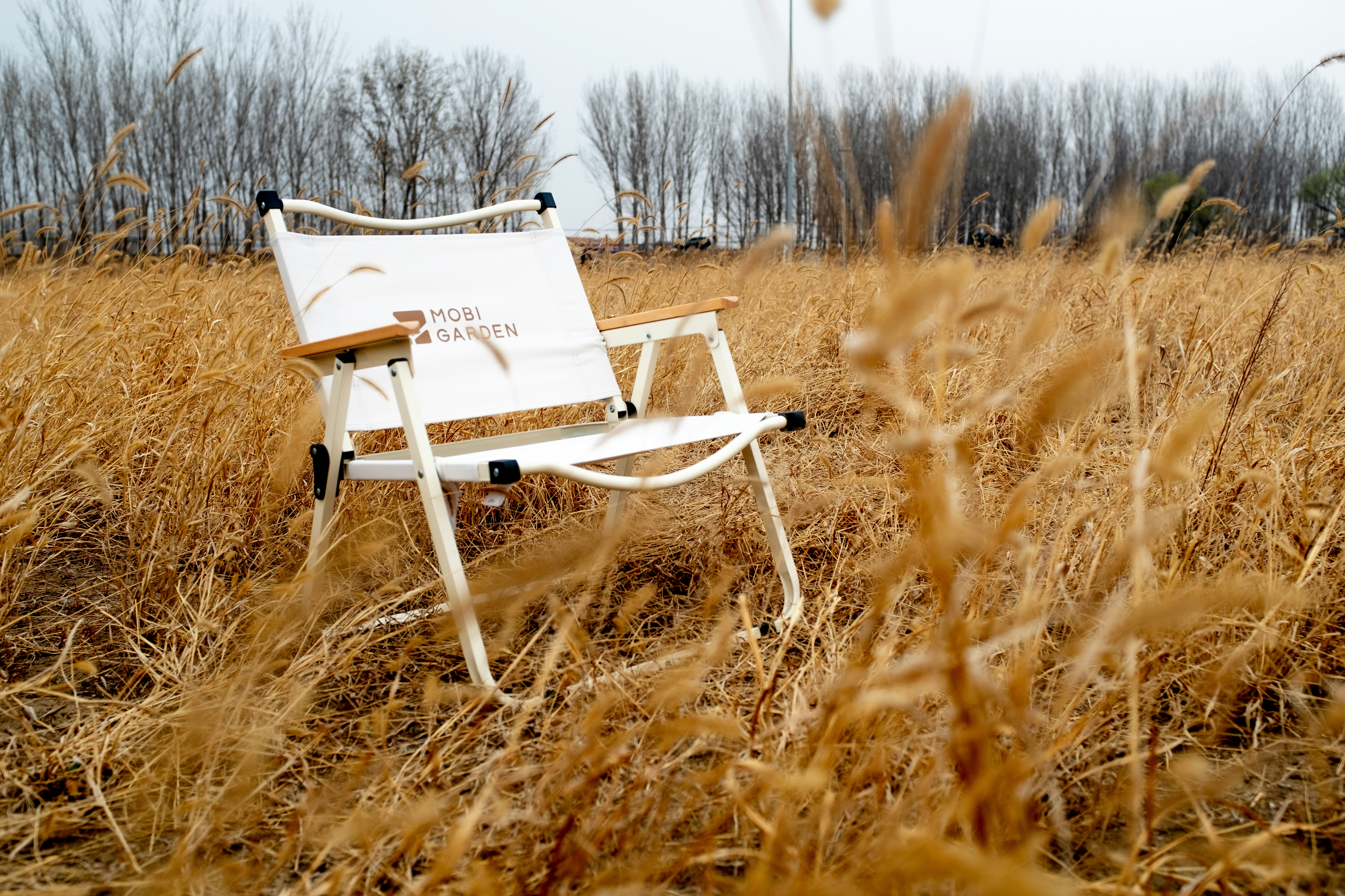 Solace in Golden Grass: White Folding Chair in a Quiet Field