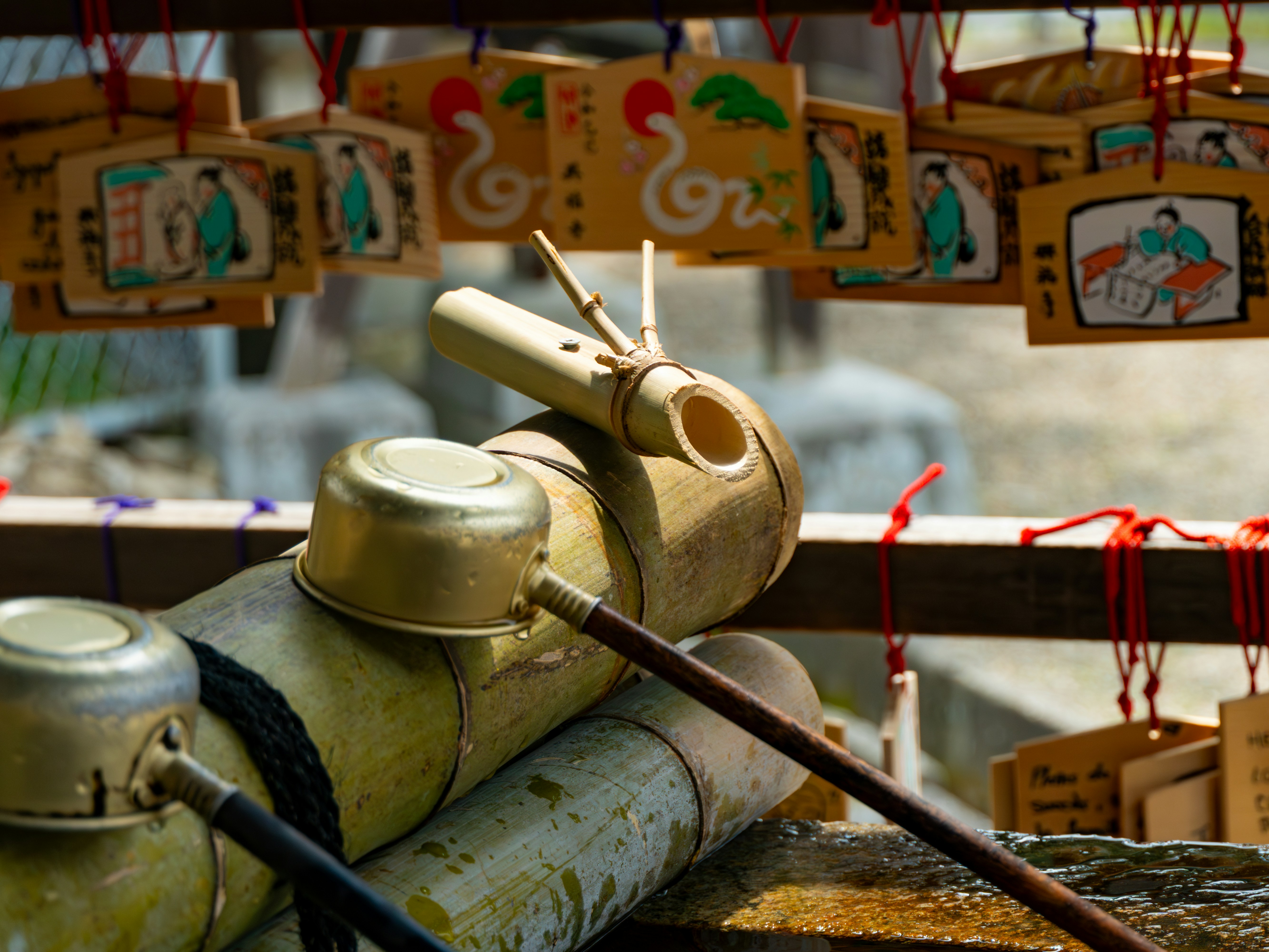 Bassin d’eau en bambou dans un temple japonais. photo – Image gratuite de Humain sur Unsplash