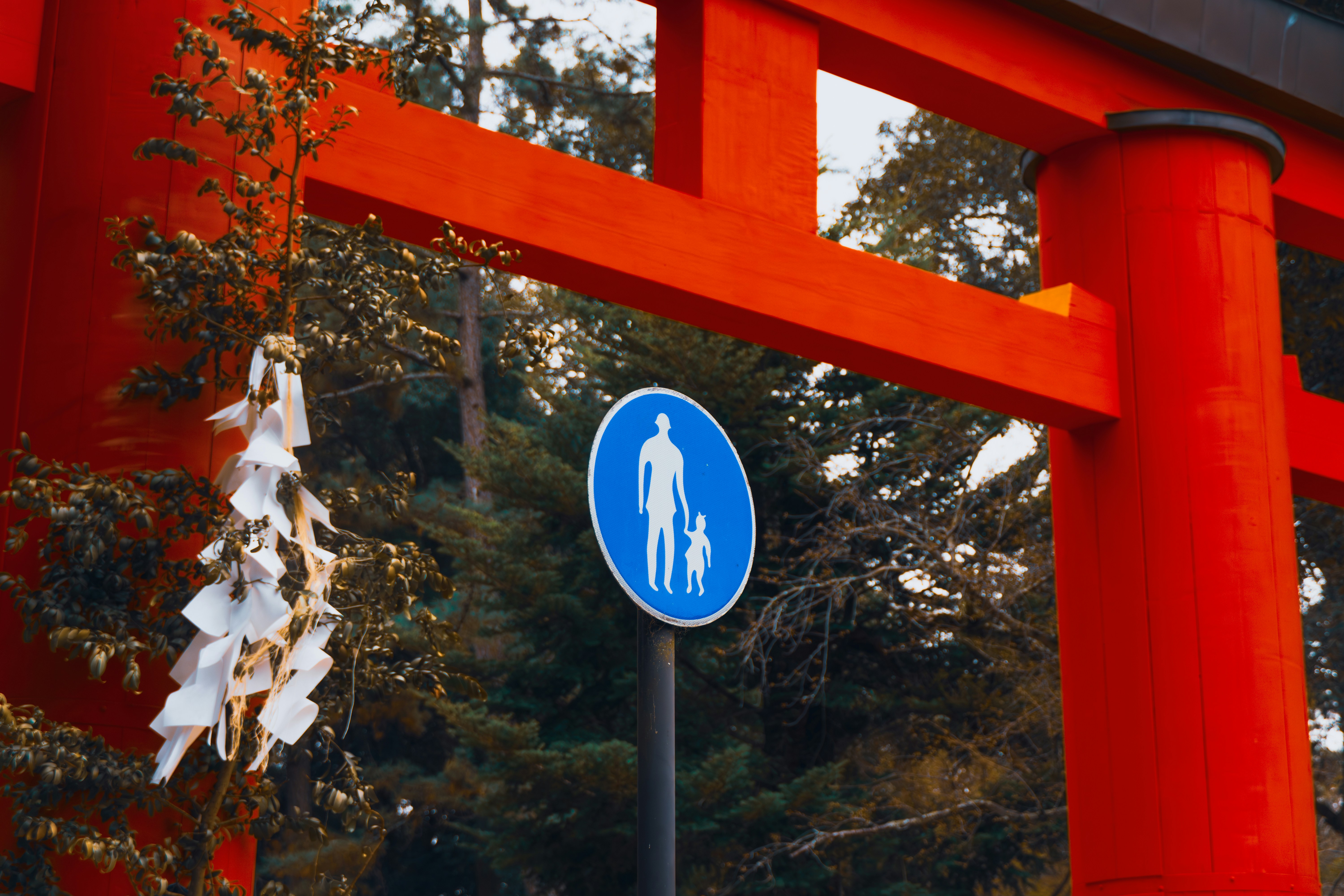 Blue pedestrian sign set against vibrant red torii gate with surrounding greenery.