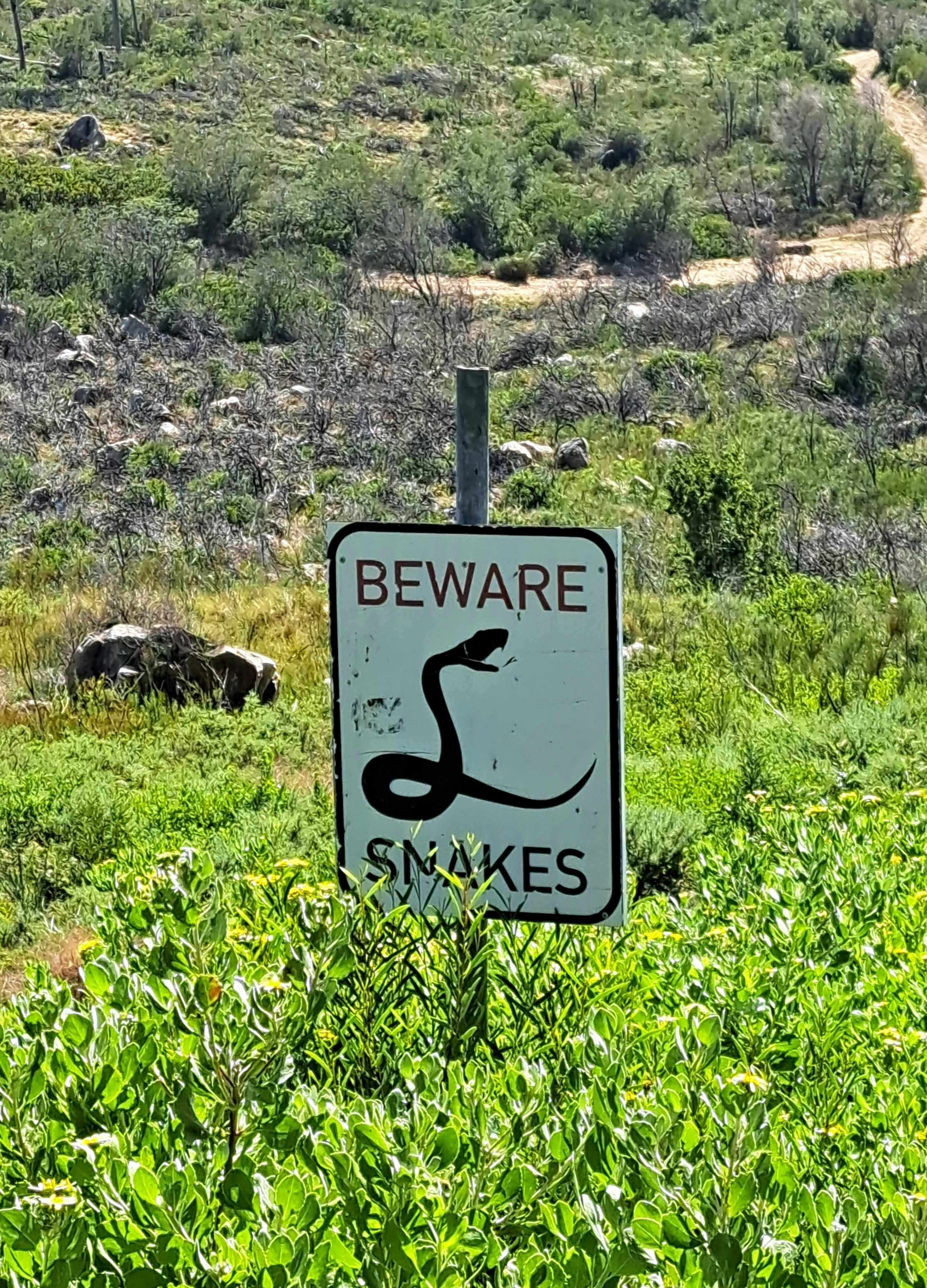 Warning sign depicting a snake with the text 'BEWARE SNAKES' in a lush green landscape. The background features a dirt path and scattered vegetation.