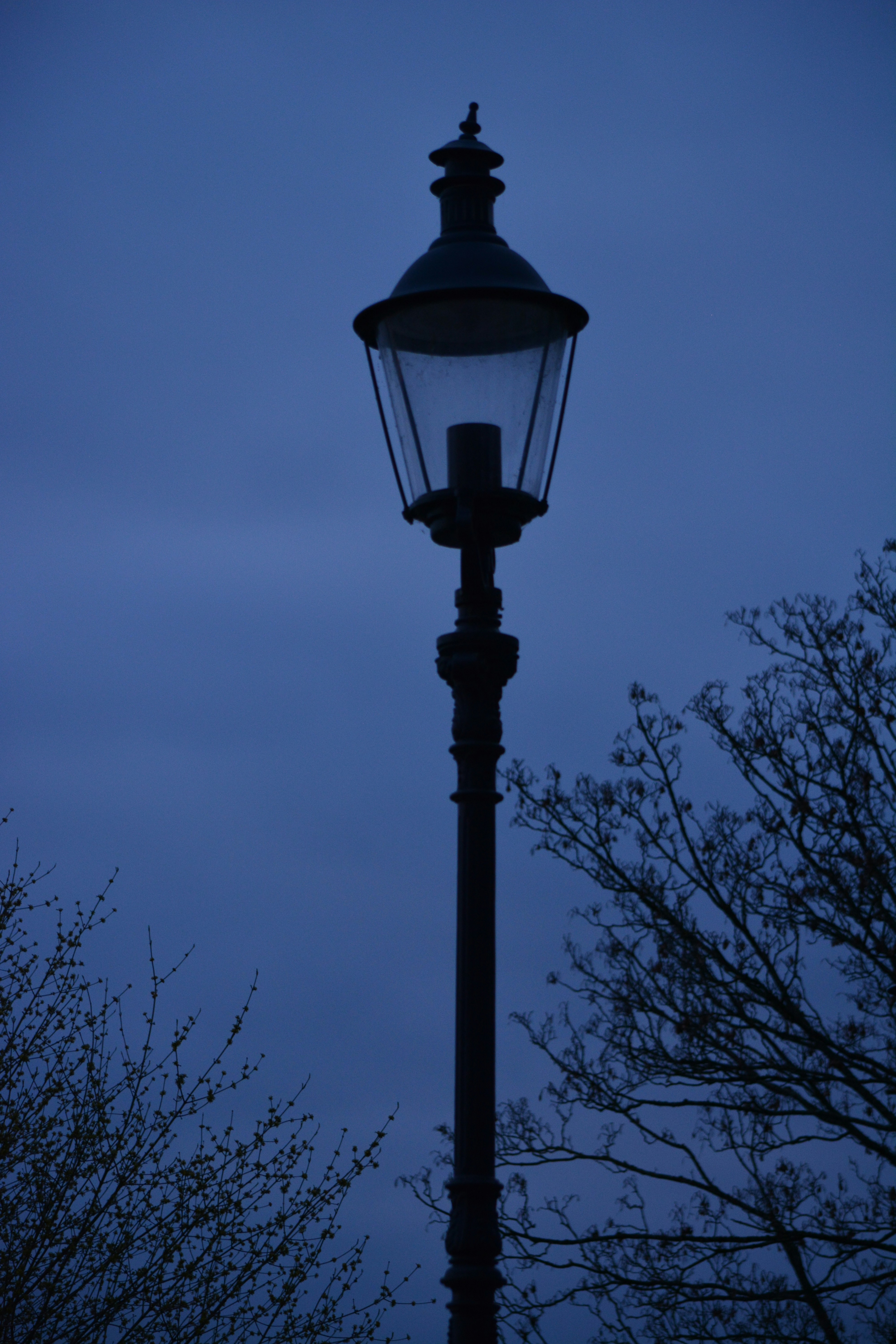 Indigo Hour Lantern: A Lone Streetlight in Winter Twilight