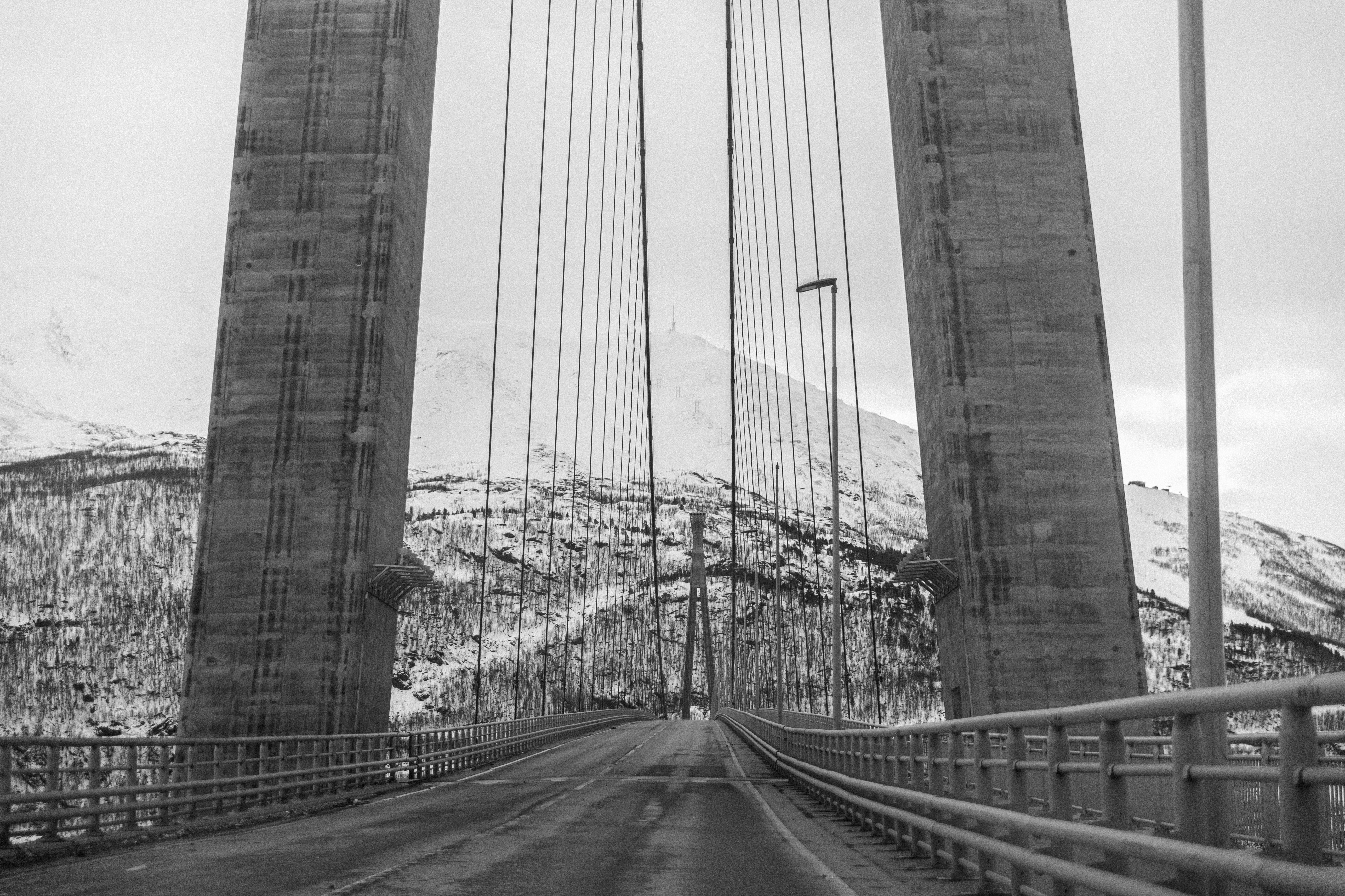 Bridge Spanning Silence: Snowy Mountains Through Cables