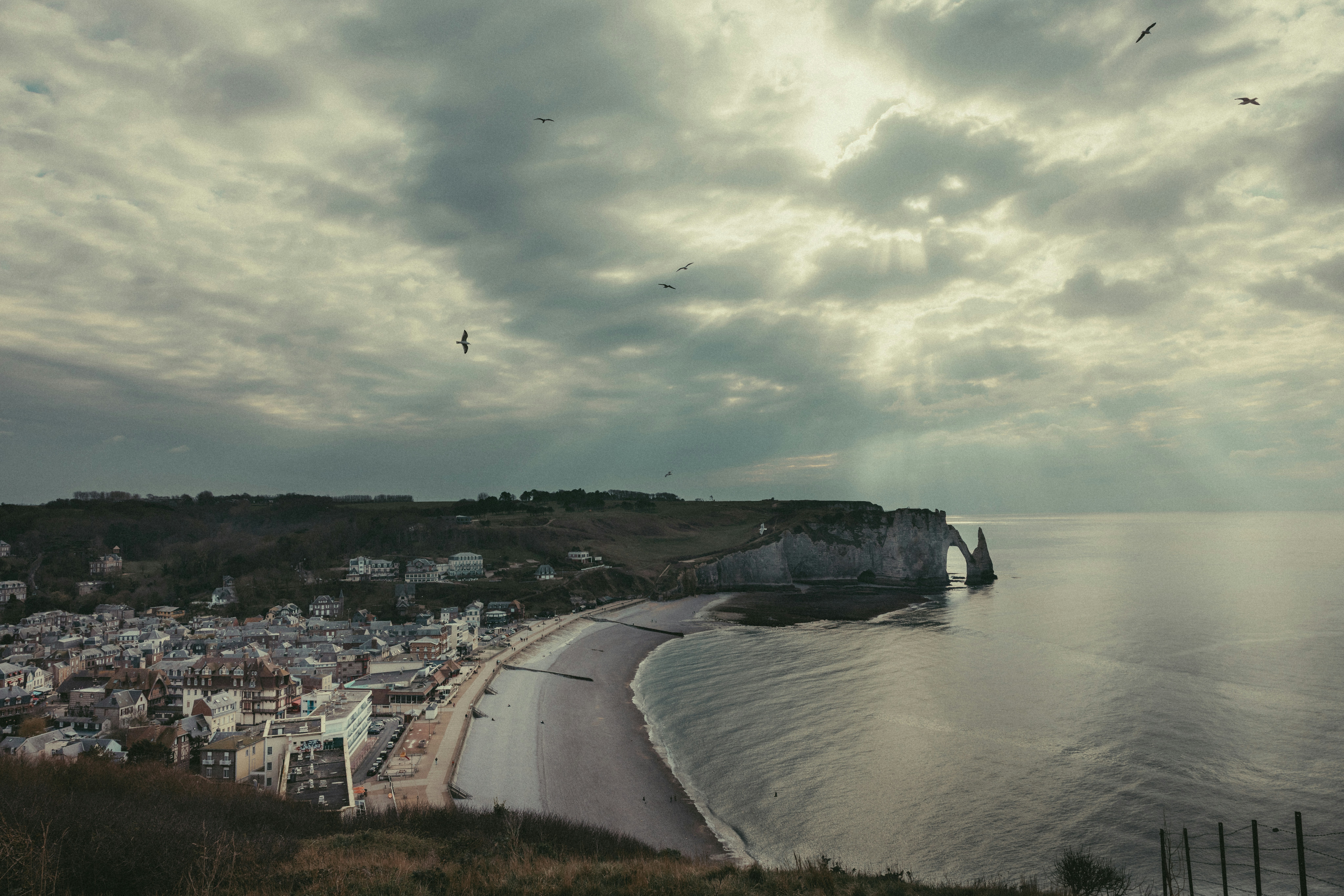 Photo by Michael McKay with Canon EOS R5