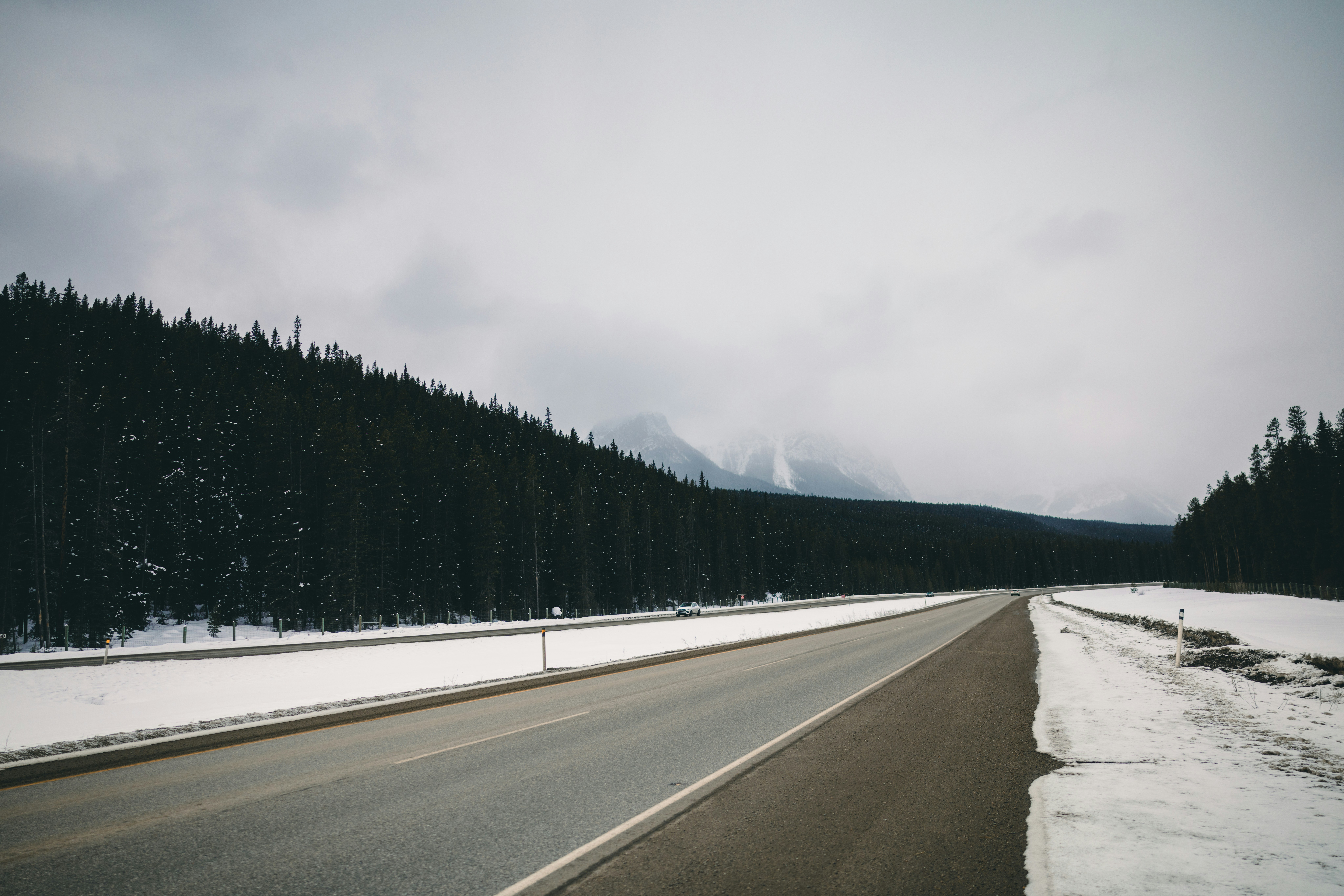 An empty road leads through a snowy forest. photo – Free Forest Image ...