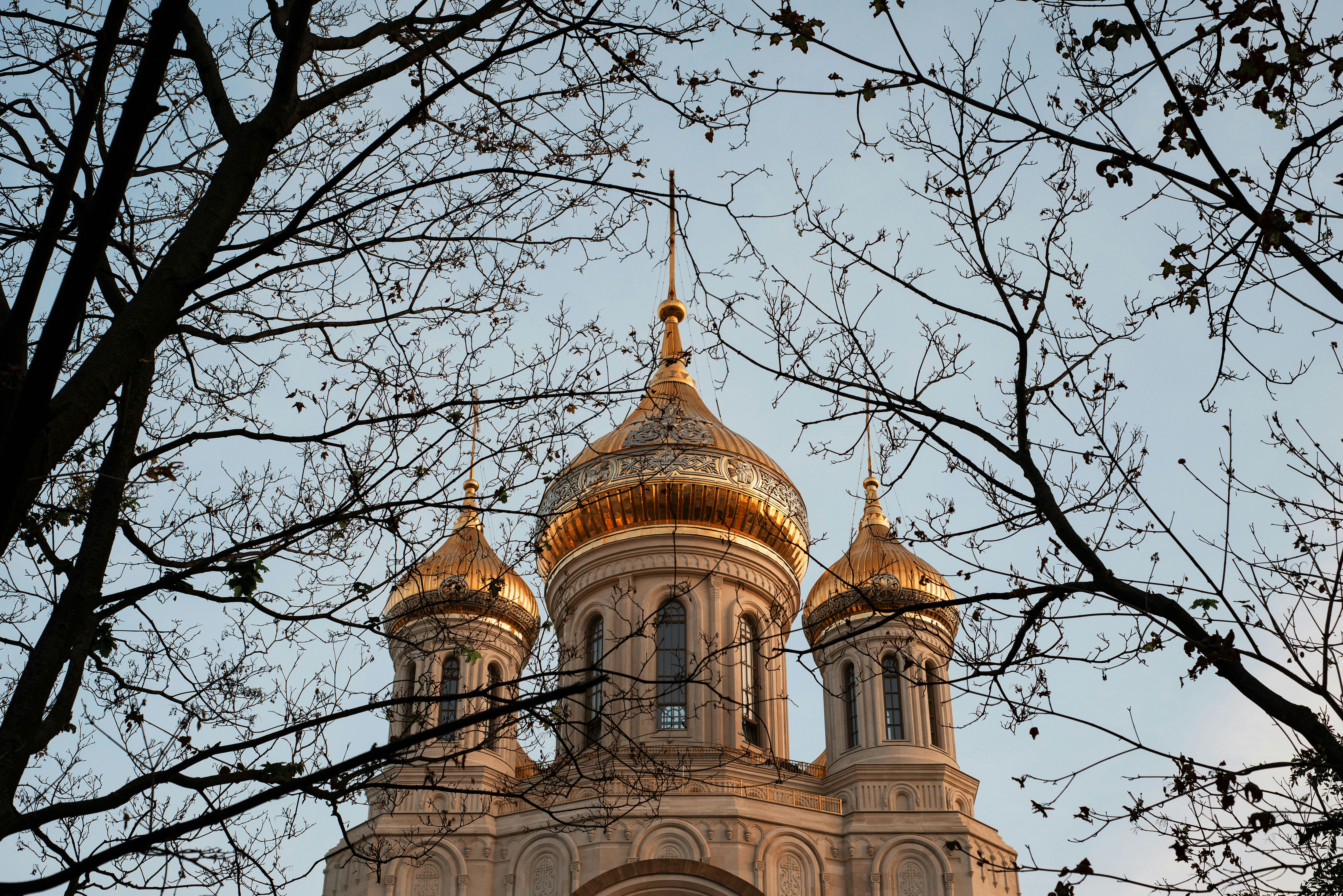 Ornate gold-domed cathedral framed by leafless tree branches against a clear sky.