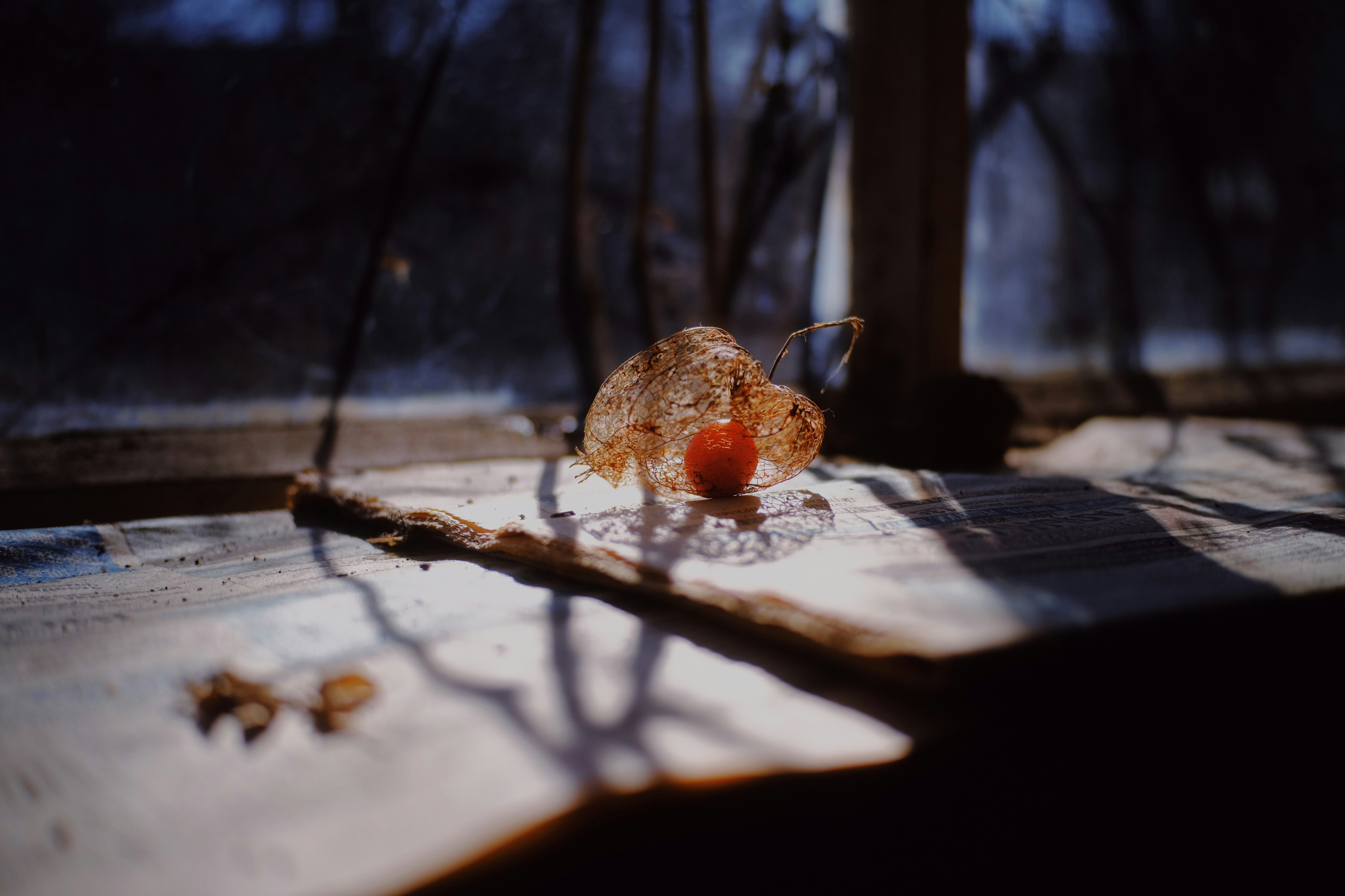 Photo by Alizea Sidorov with Fujifilm X-Pro3