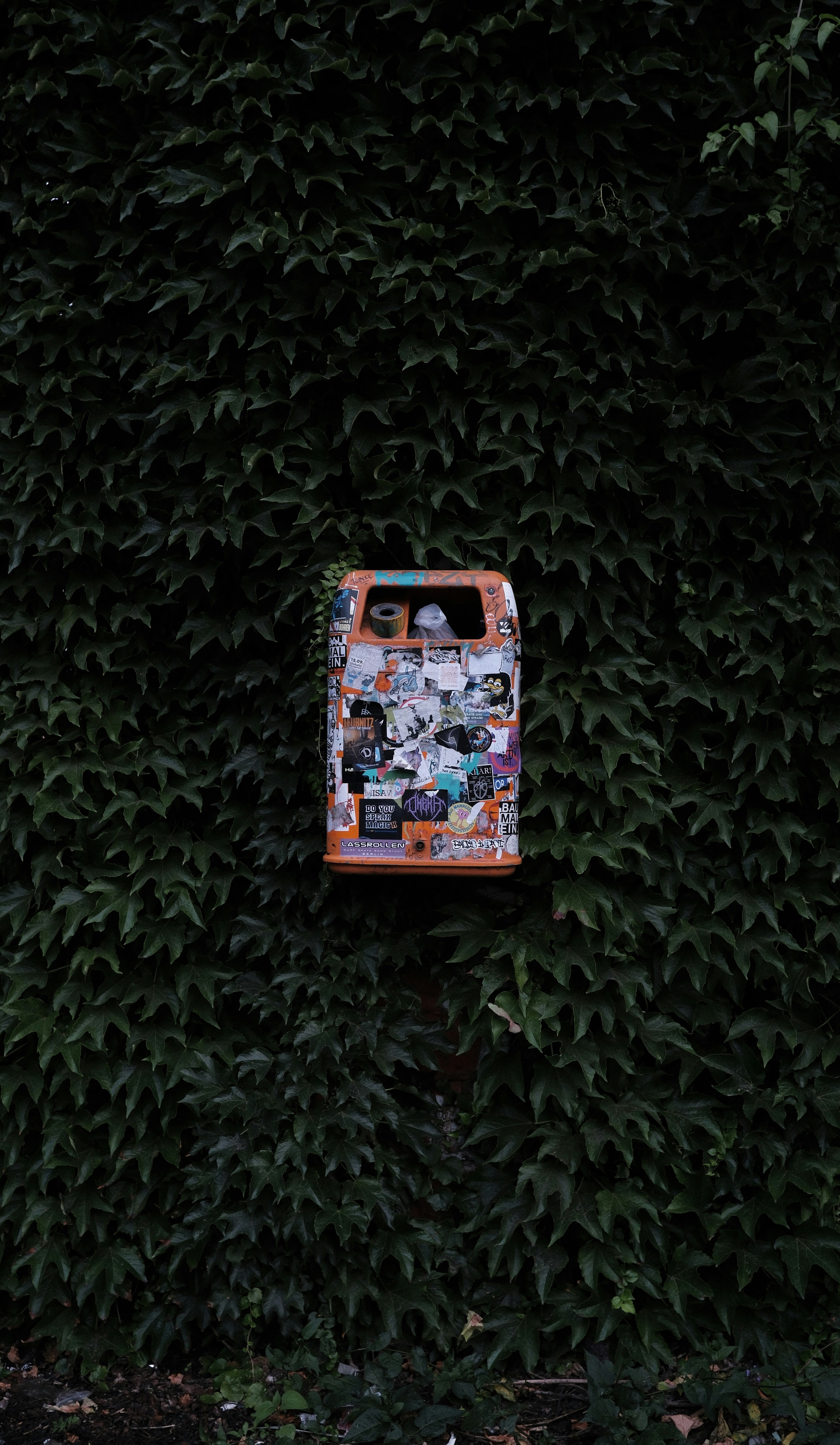 Orange Recycling Bin Adorned with Typos and Trash Amid Dense Ivy