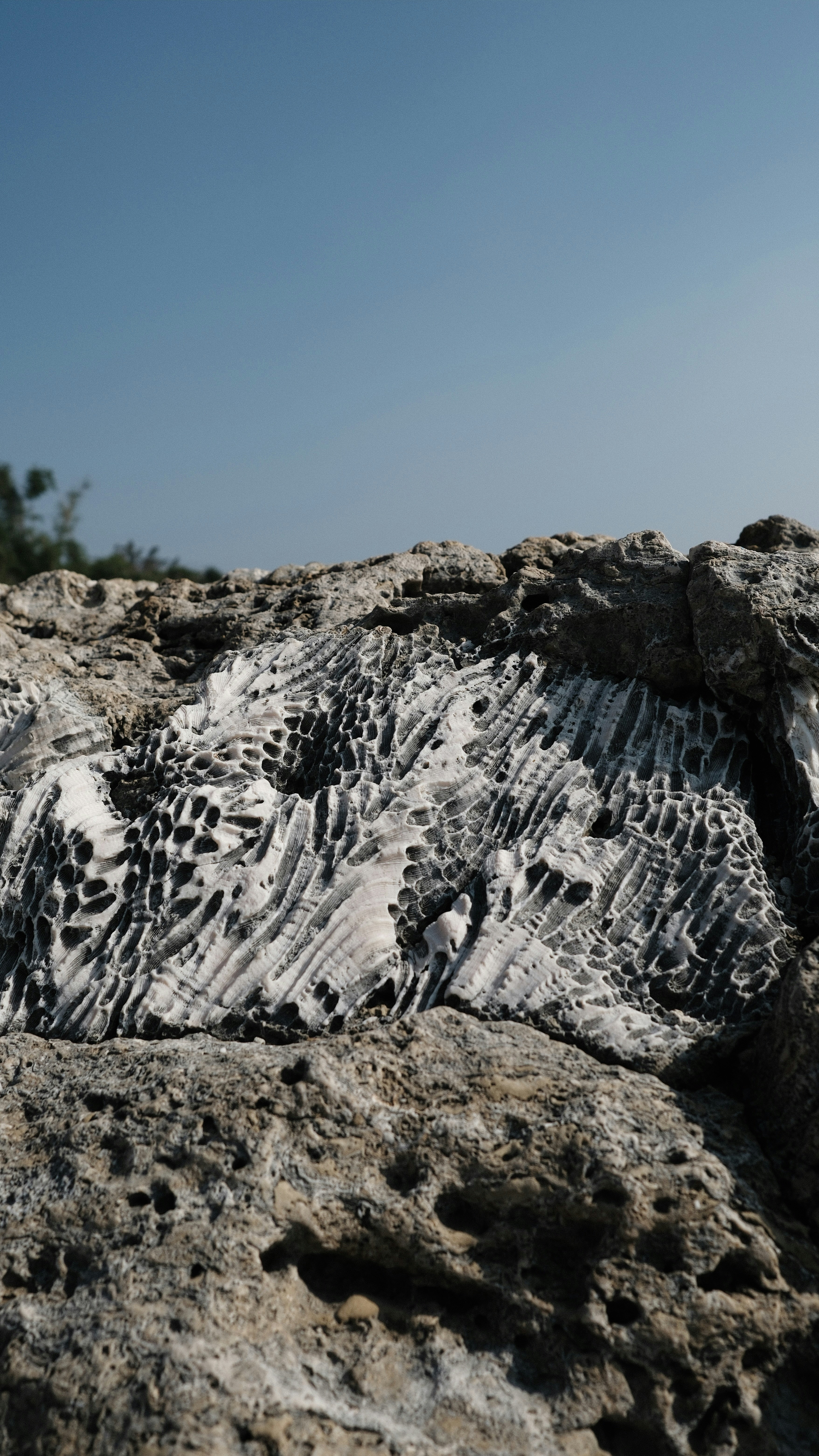 Photo by Christina Zhang with Fujifilm X-S20