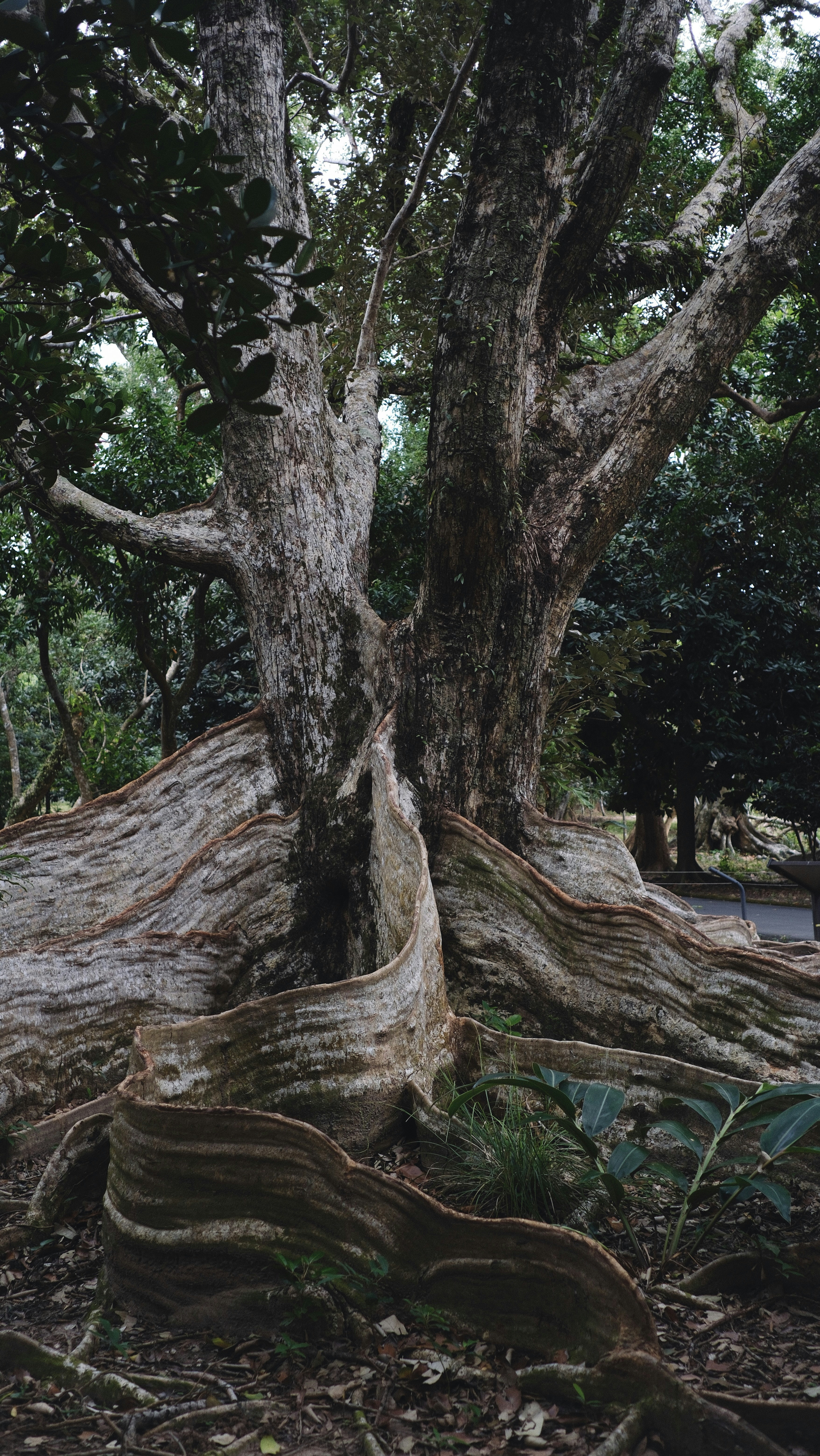 Photo by Christina Zhang with Fujifilm X-S20