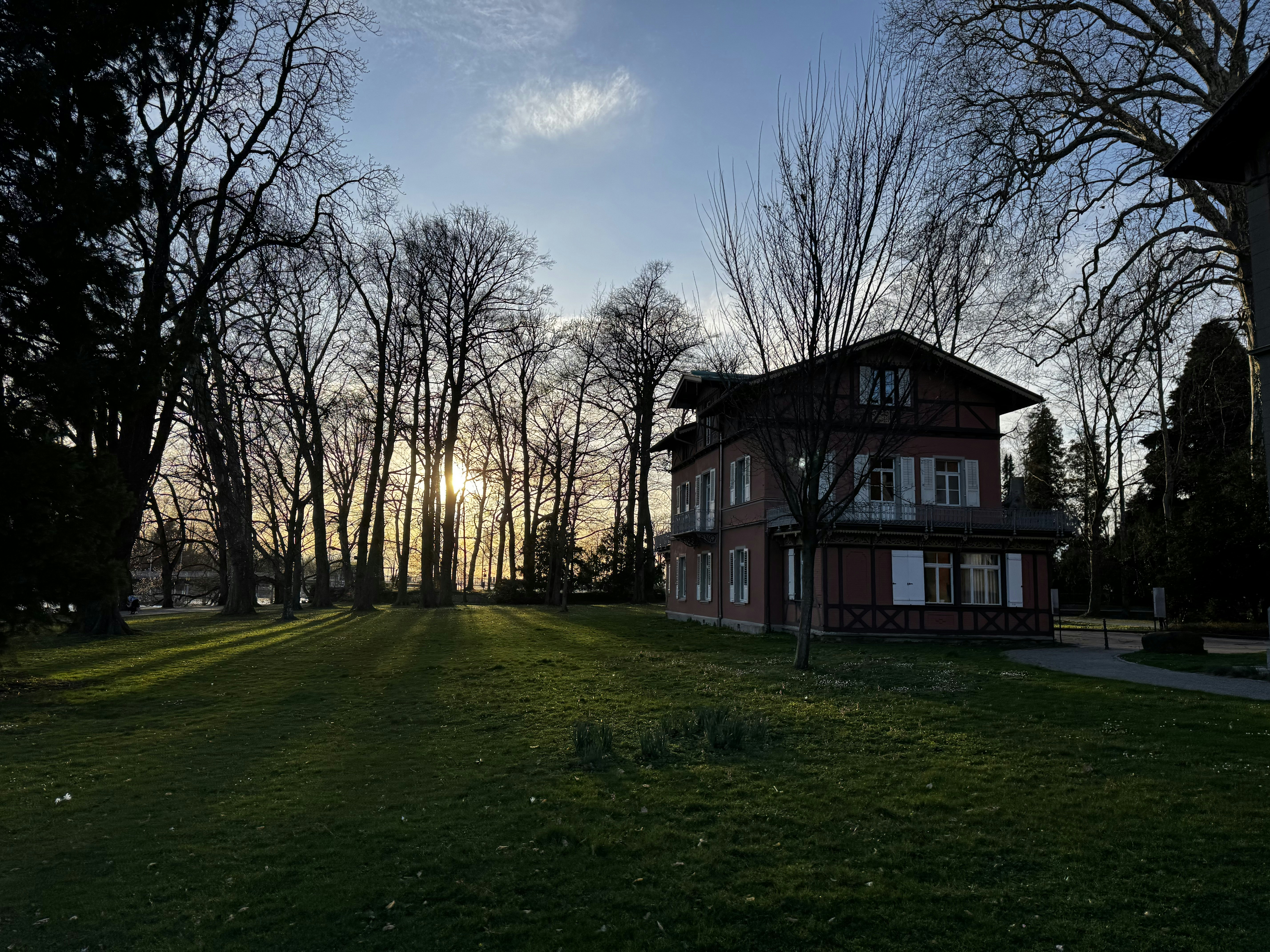 Sunset Shadows on a Tranquil Lawn