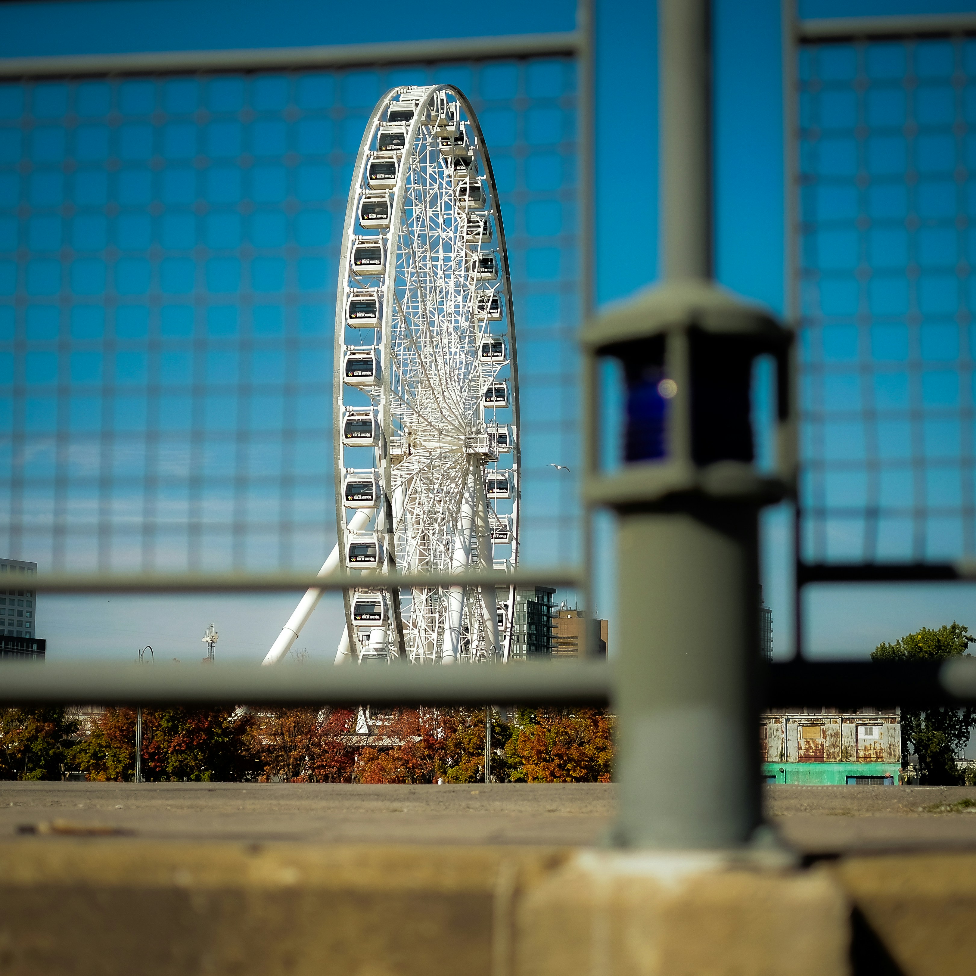 Framed Ferris Wheel Through the Fence