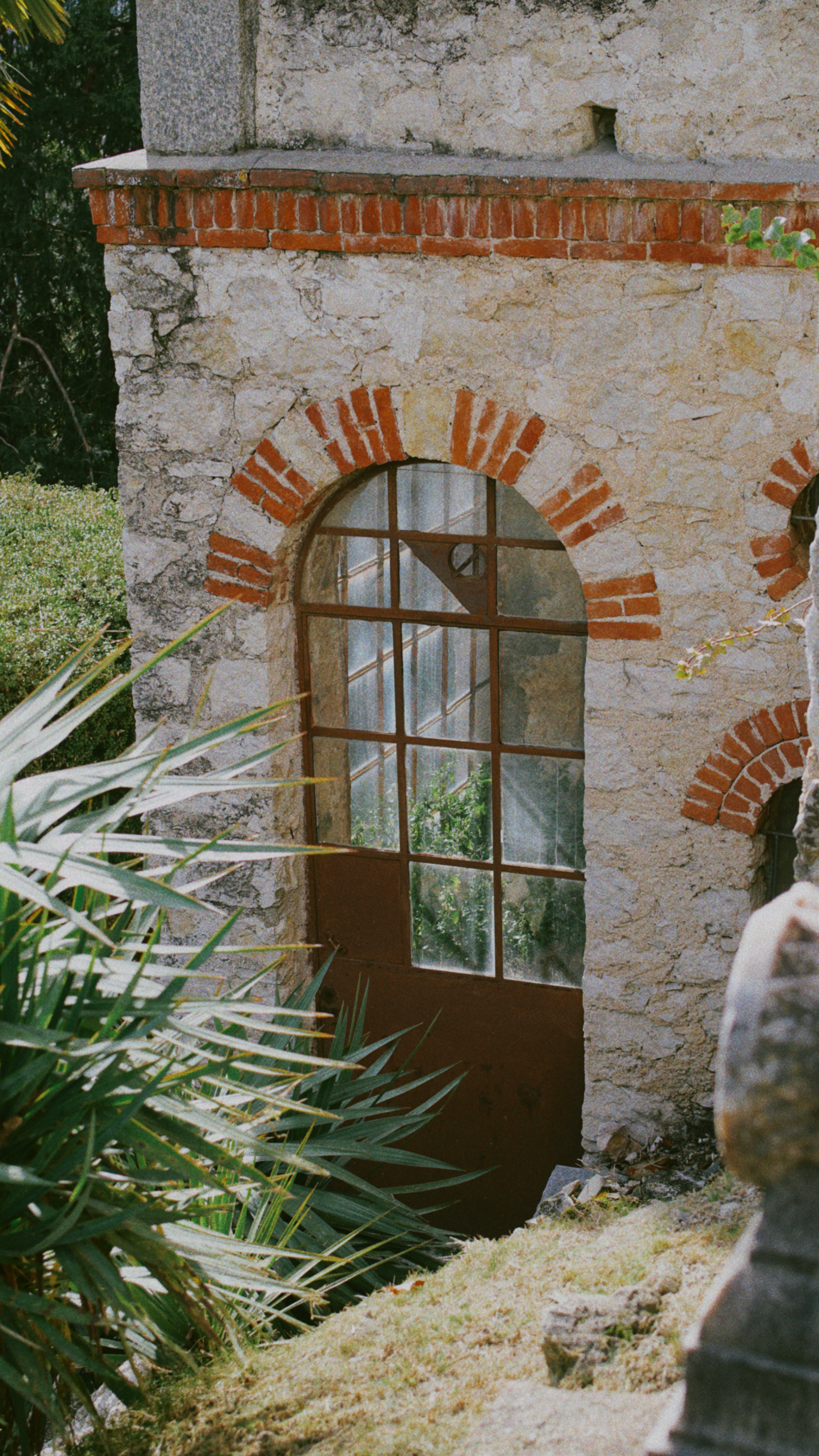 Sunlit Archway in a Weathered Stone Wall Framed by Spiky Garden Foliage
