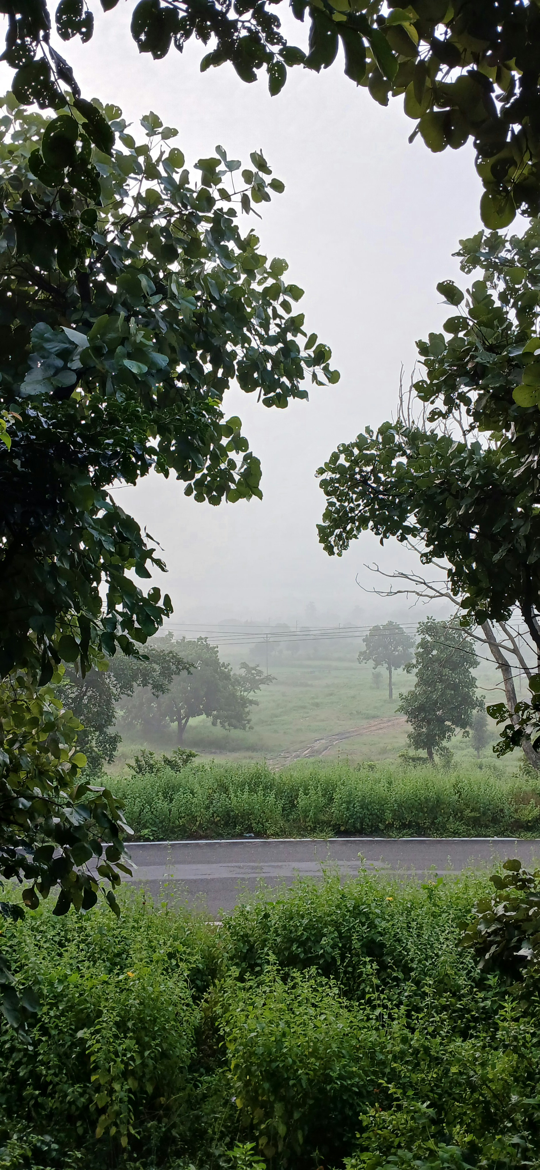 Arvind H (@arvind_h) | Comunidade de fotos da Unsplash