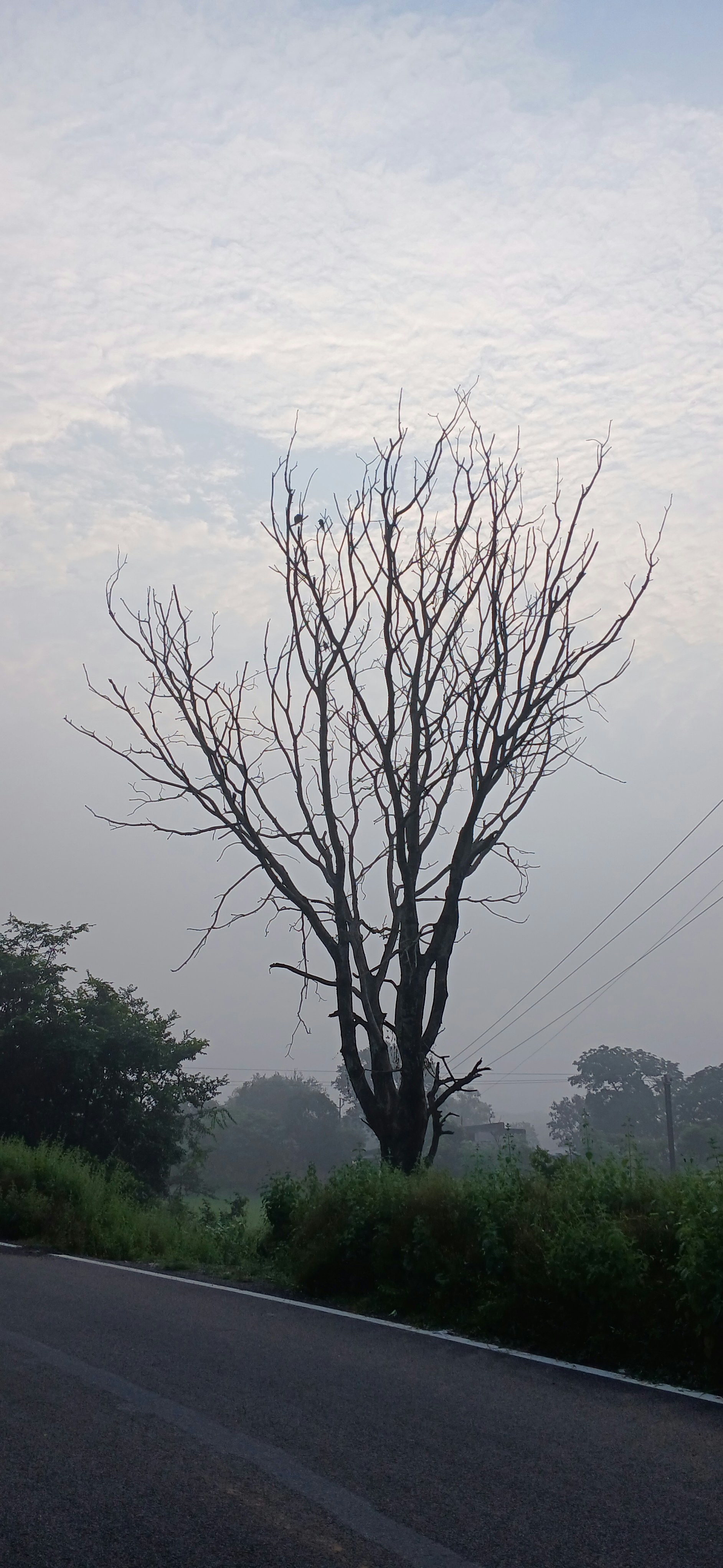 Arvind H (@arvind_h) | Comunidade de fotos da Unsplash