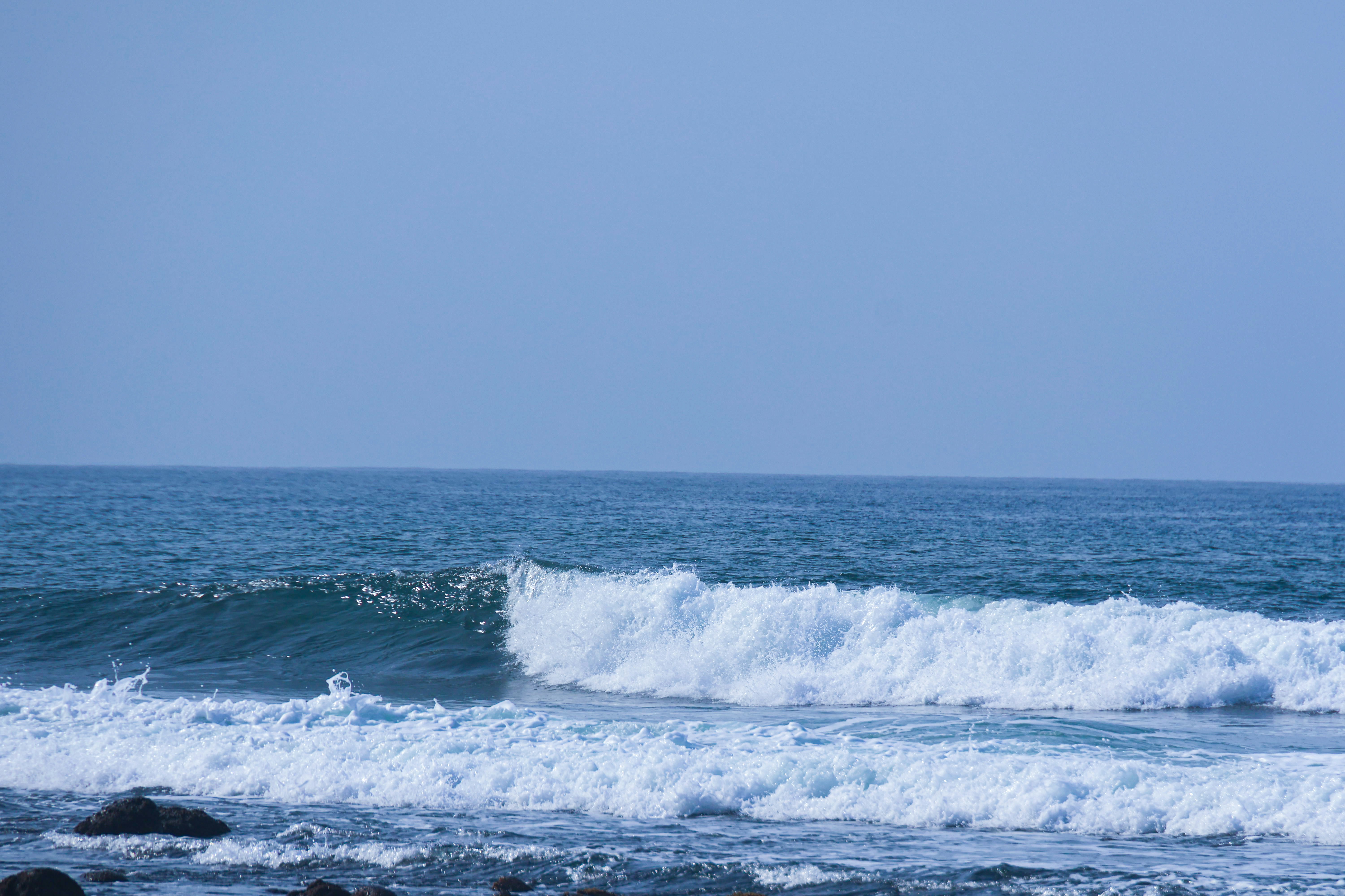 Photo by Meg von Haartman with Canon EOS R10