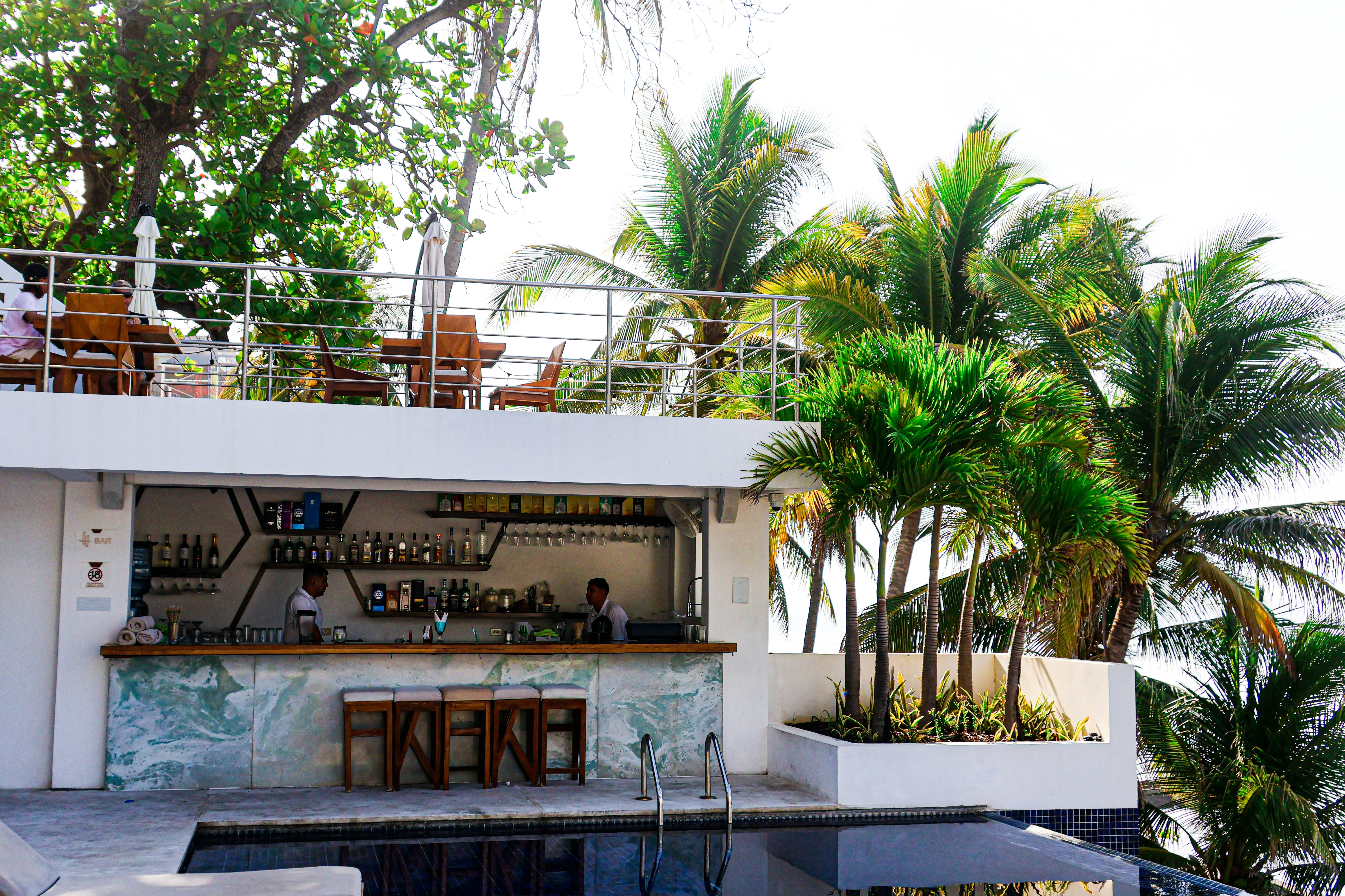 Outdoor poolside bar surrounded by lush palm trees under a bright sky.