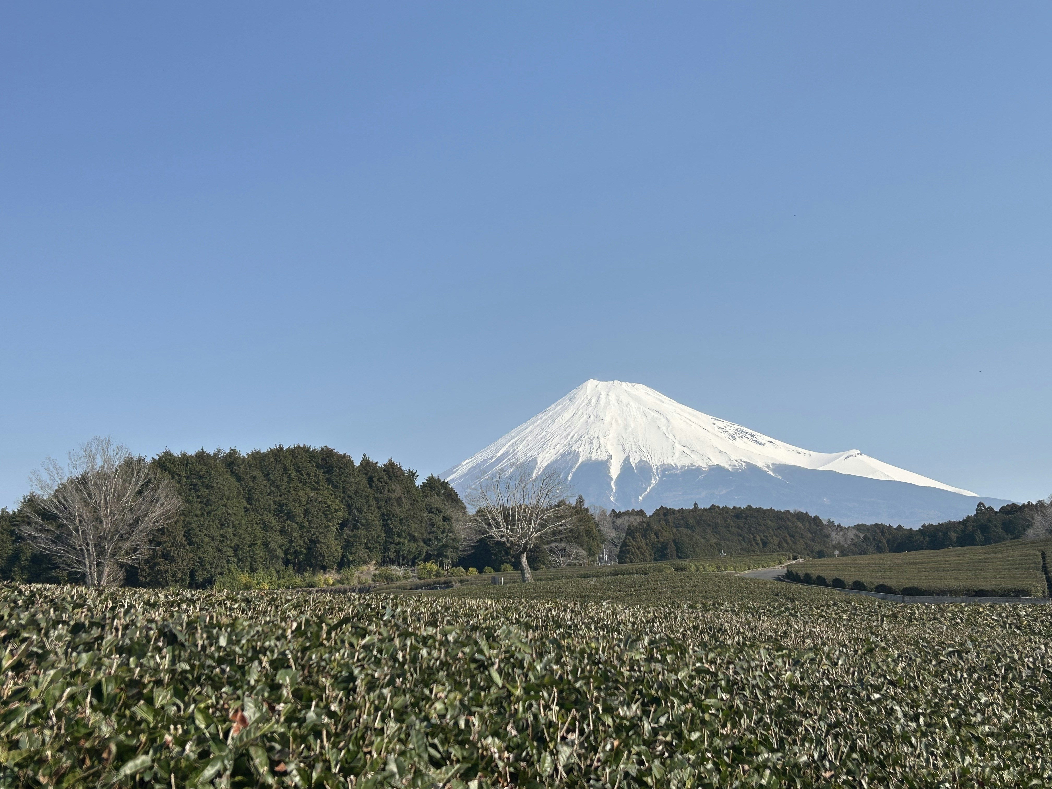 Photo by ben liau with Apple iPhone 14