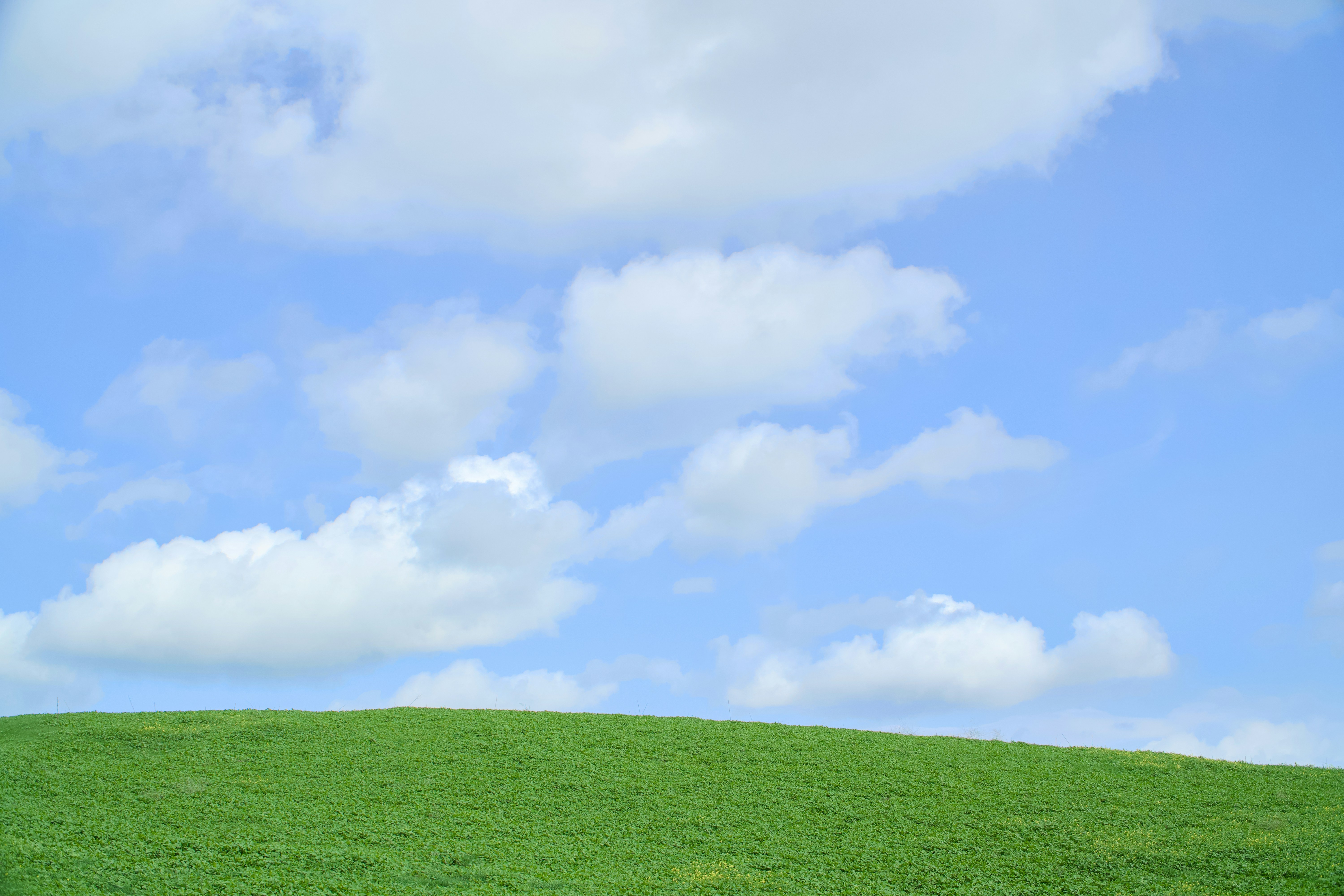 Lush green hill beneath a sky dotted with soft white clouds.
