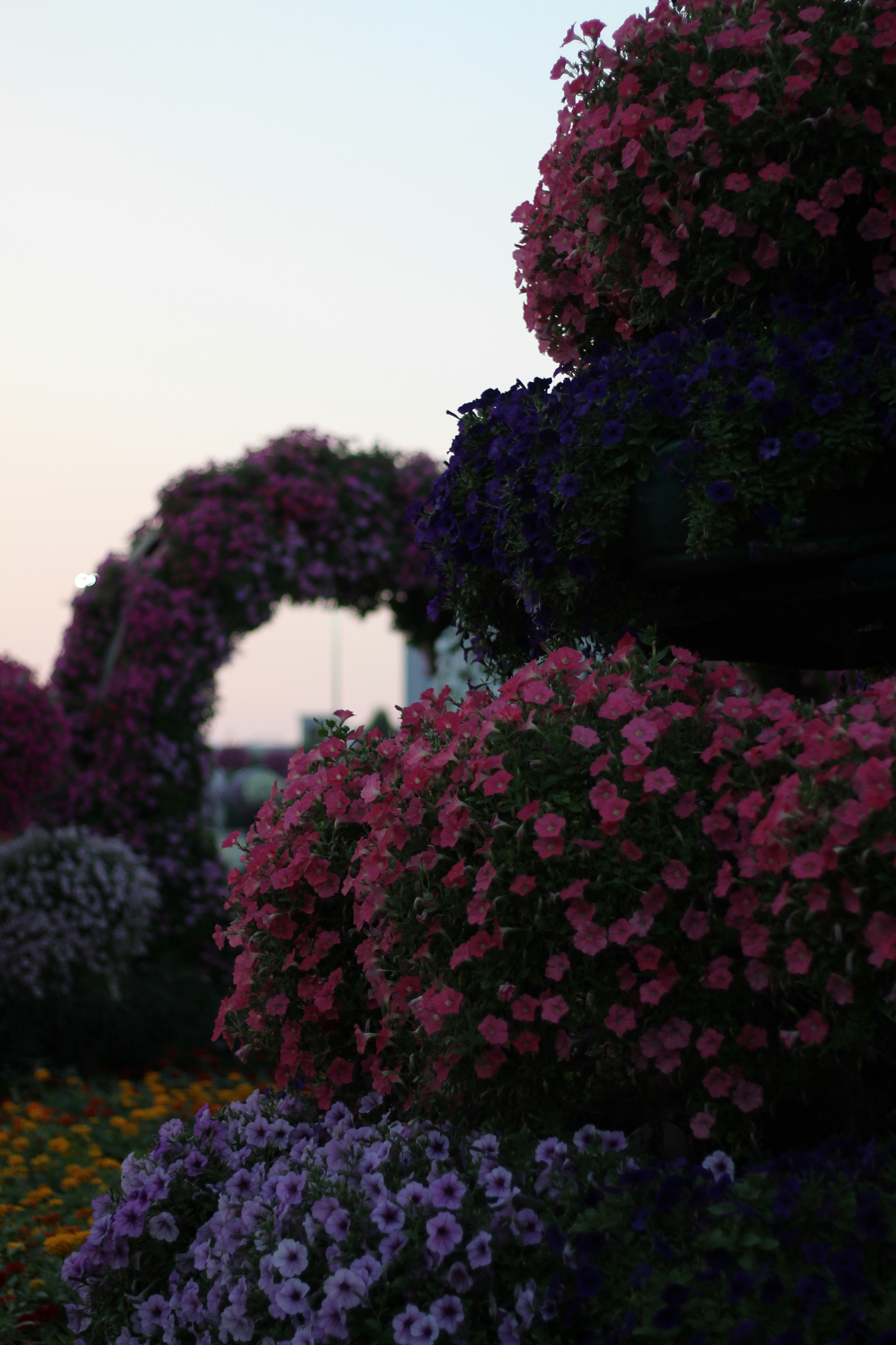 Twilight Bloom Symphony