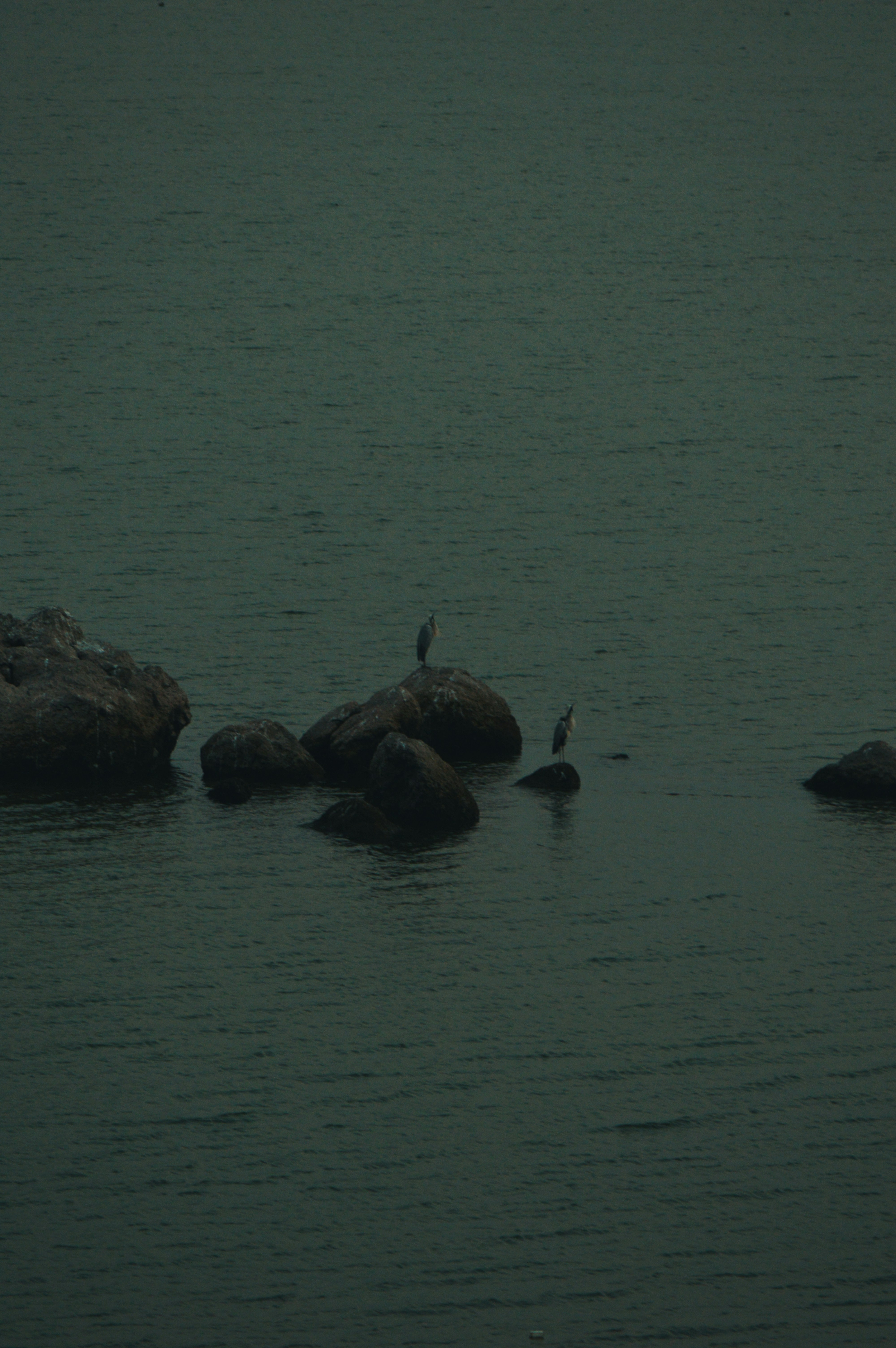 Photo by Shreyansh Mishra with Nikon D3200