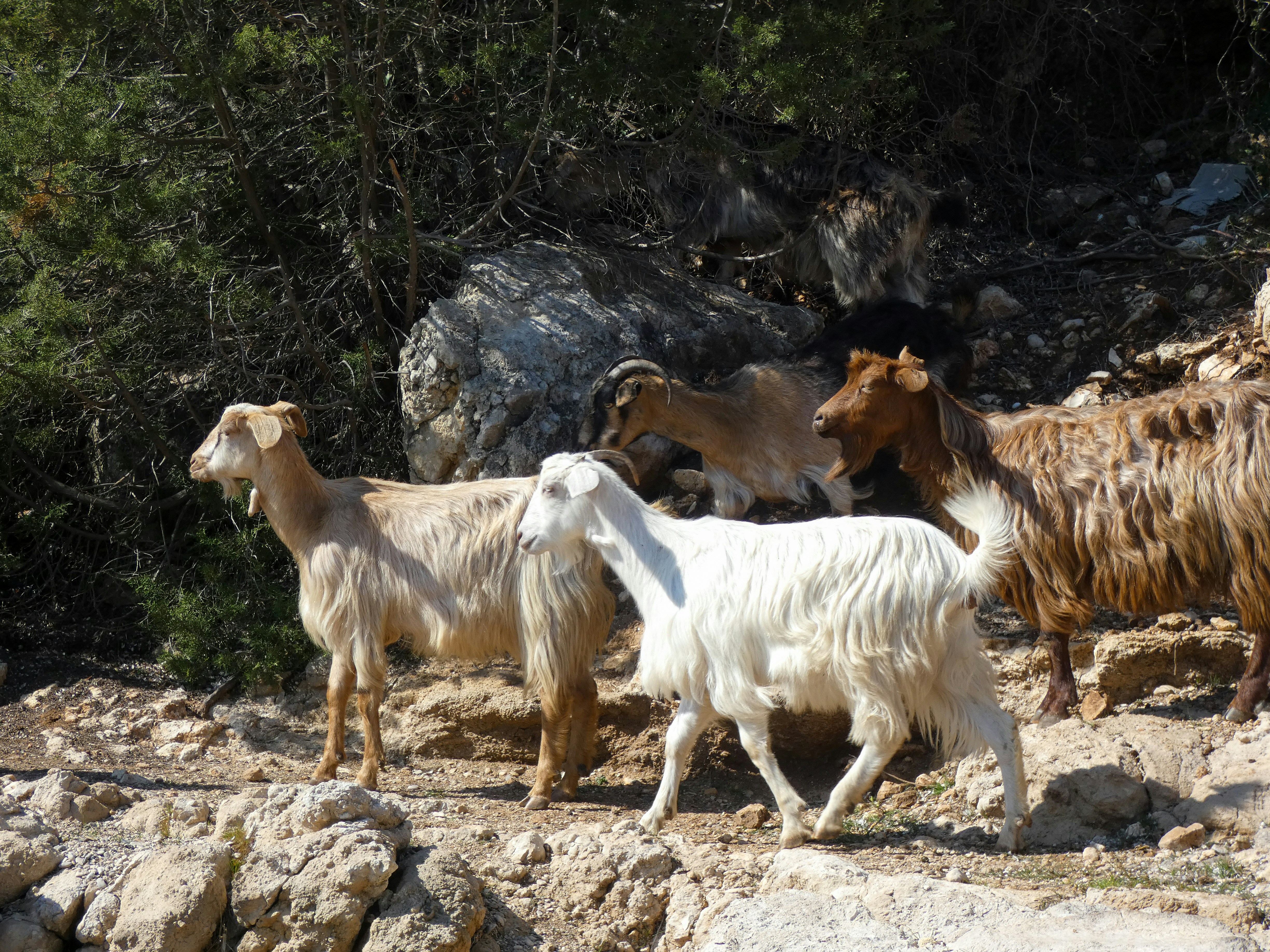 Photo by Önder Andinç with Panasonic Lumix FZ82