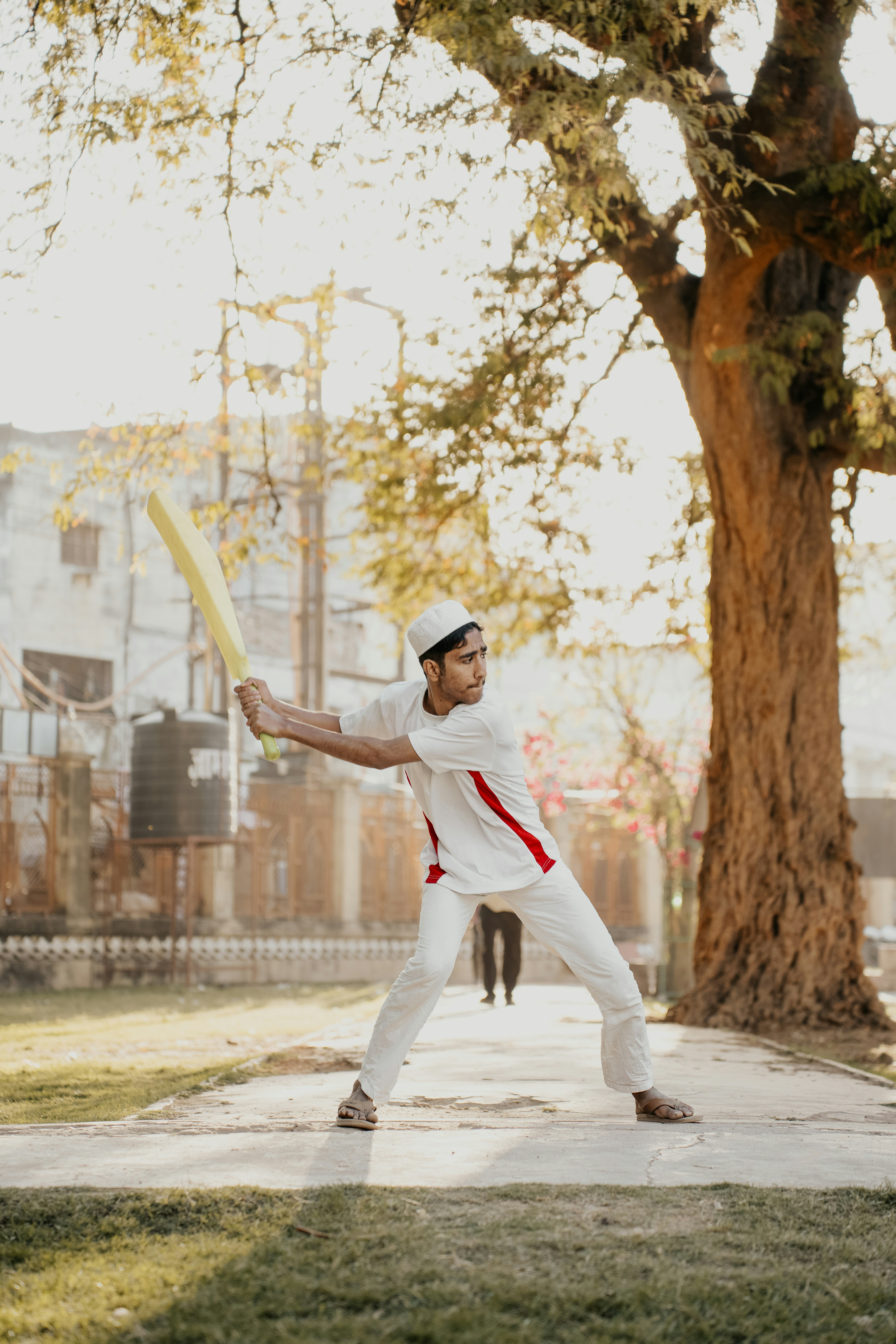 Cricket Swing in a Sunlit Park