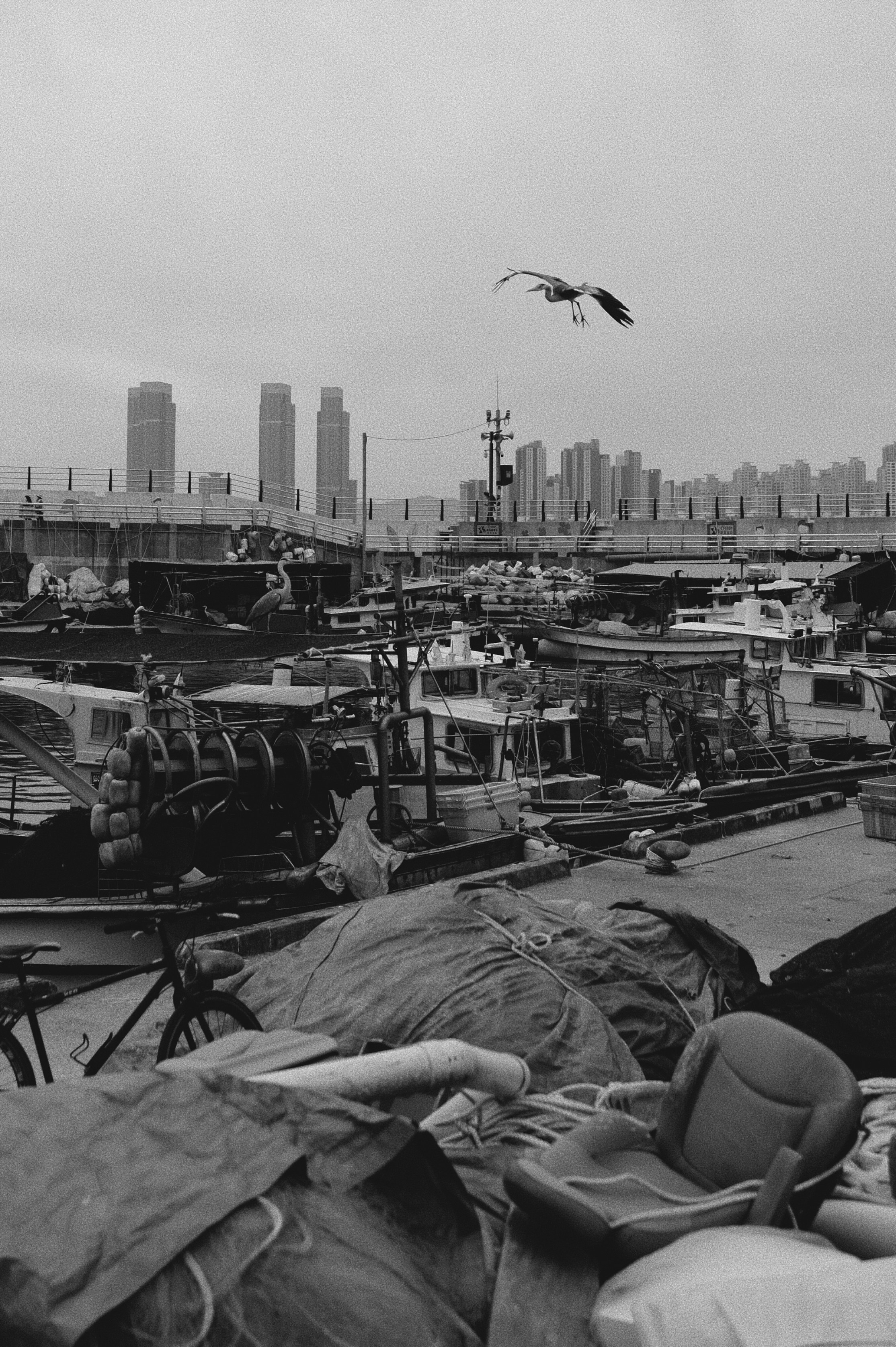 Photo by Evgeniya Pron with Canon EOS RP