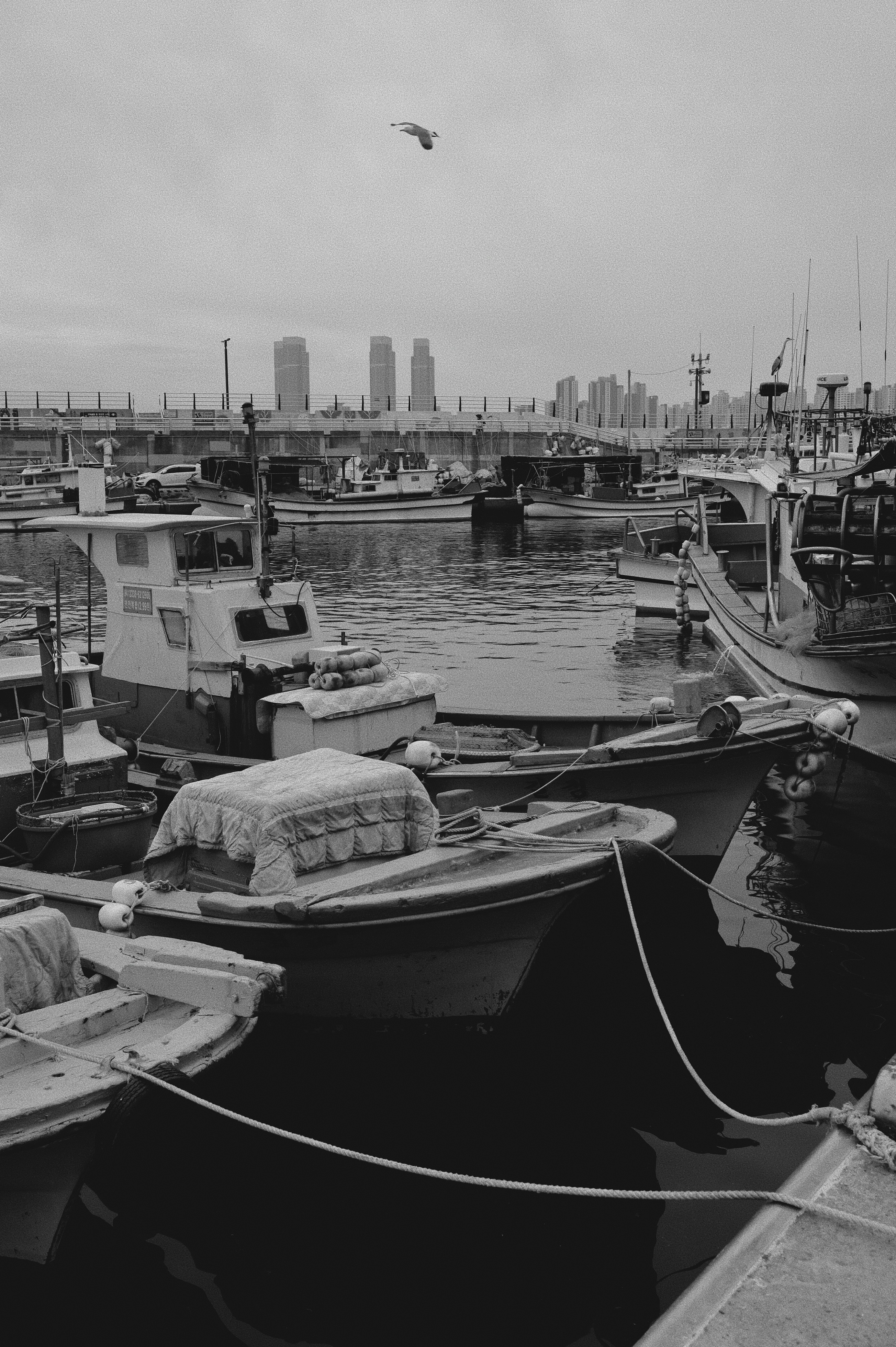 Urban Serenity: Boats at Rest